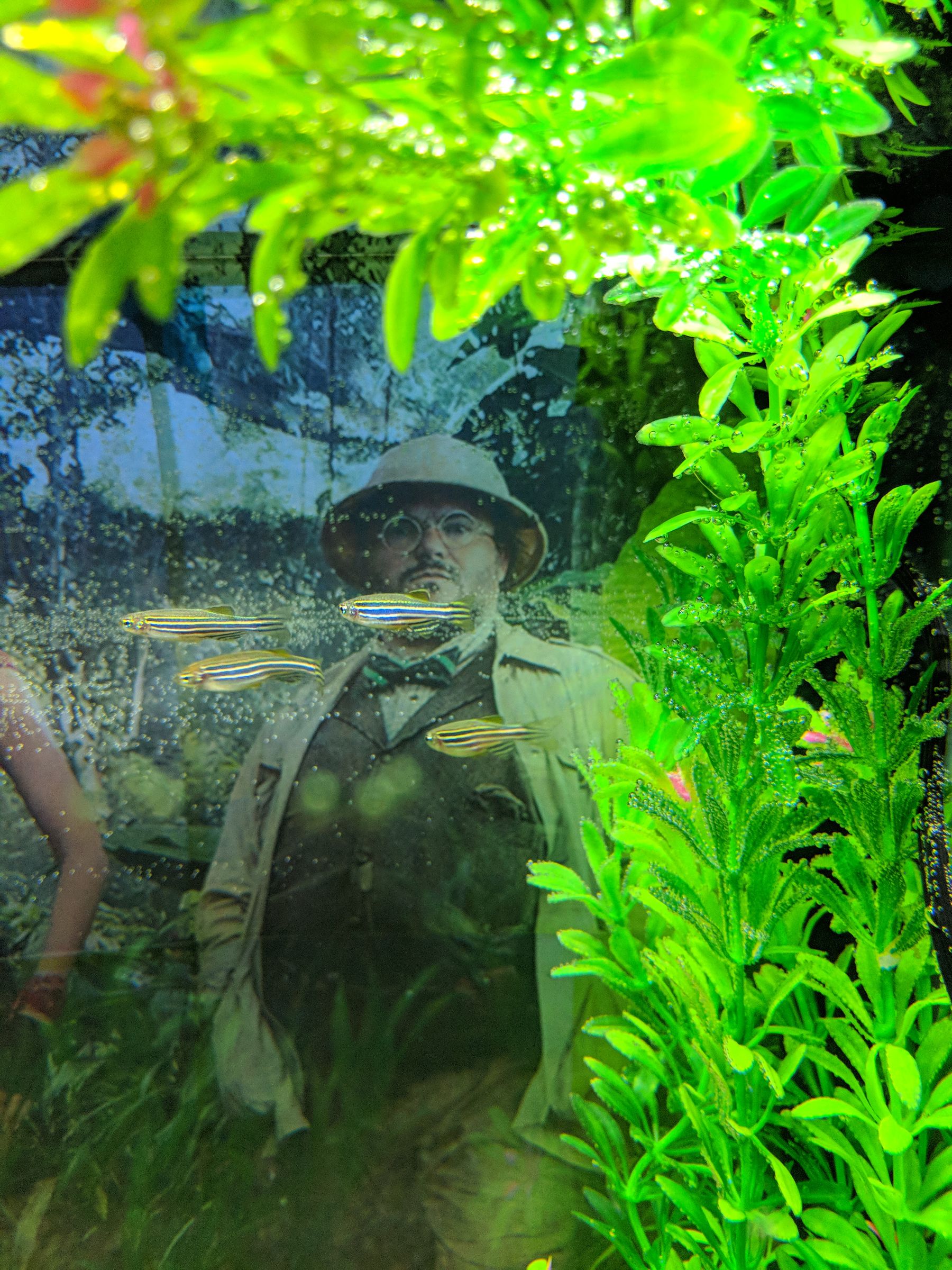 Build a TV Fish Tank : 6 Steps (with Pictures) - Instructables