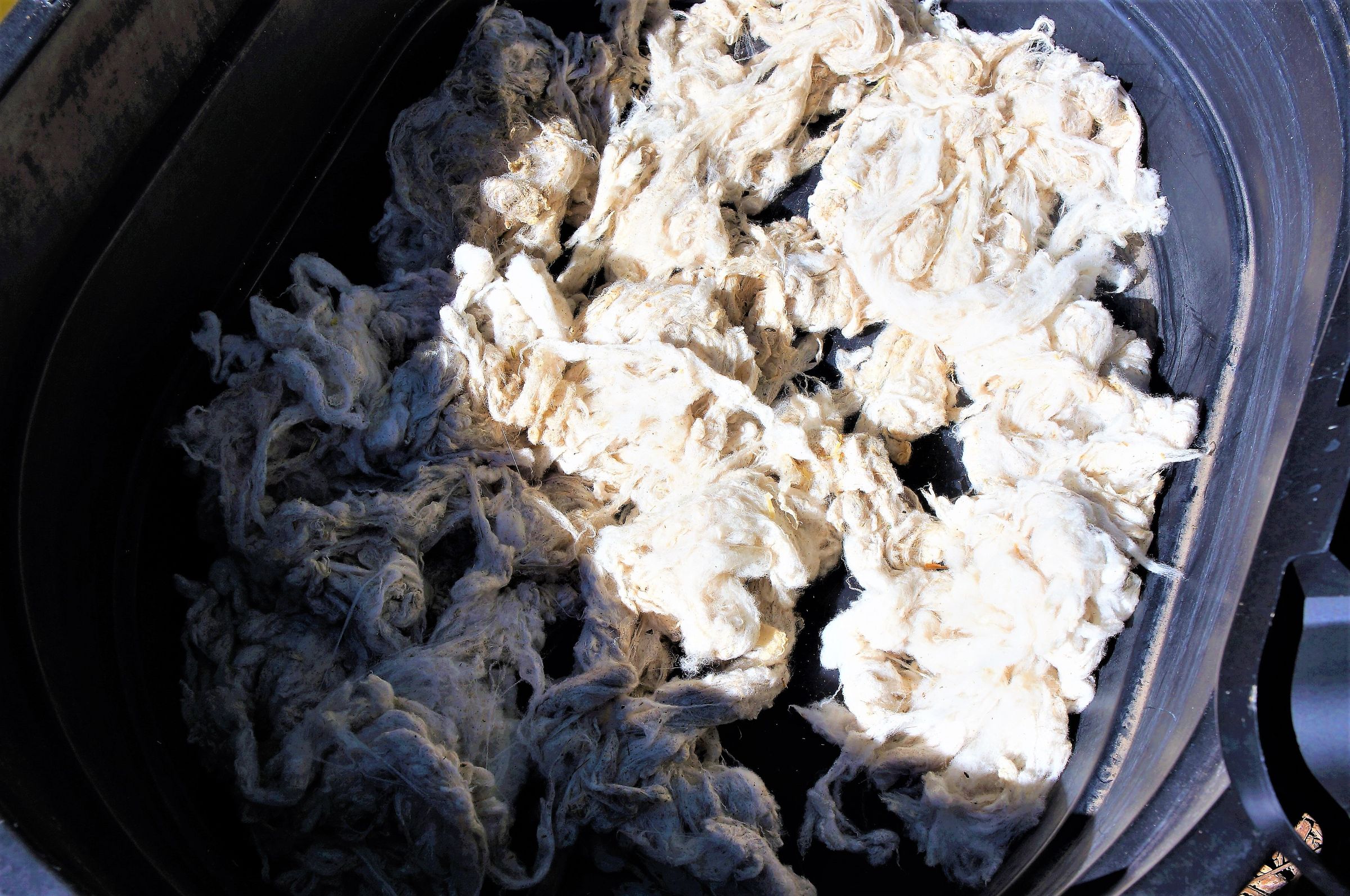 How to Process Card and Dye Raw Wool : 12 Steps (with Pictures ...