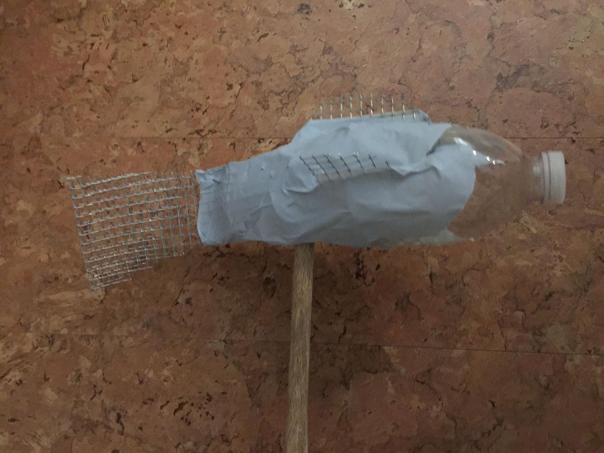 Concrete Garden Fish From Plastic Water Bottles : 4 Steps (with ...