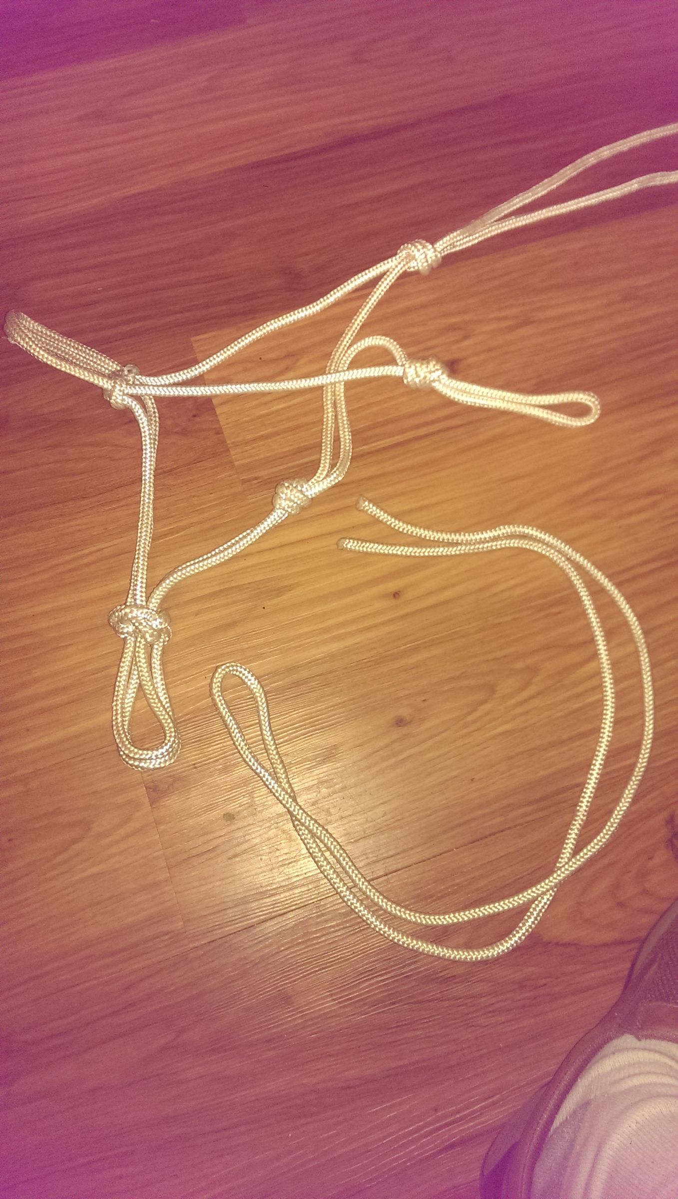 Rope Halter With Fiador : 10 Steps (with Pictures) - Instructables