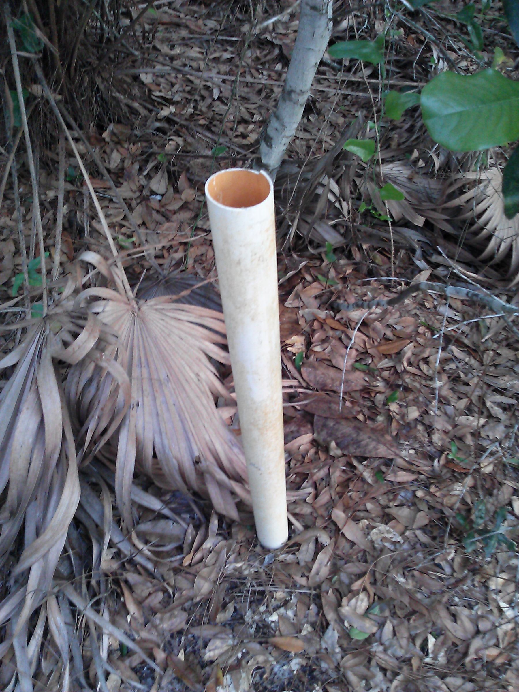 Frog Tubes! - Instructables