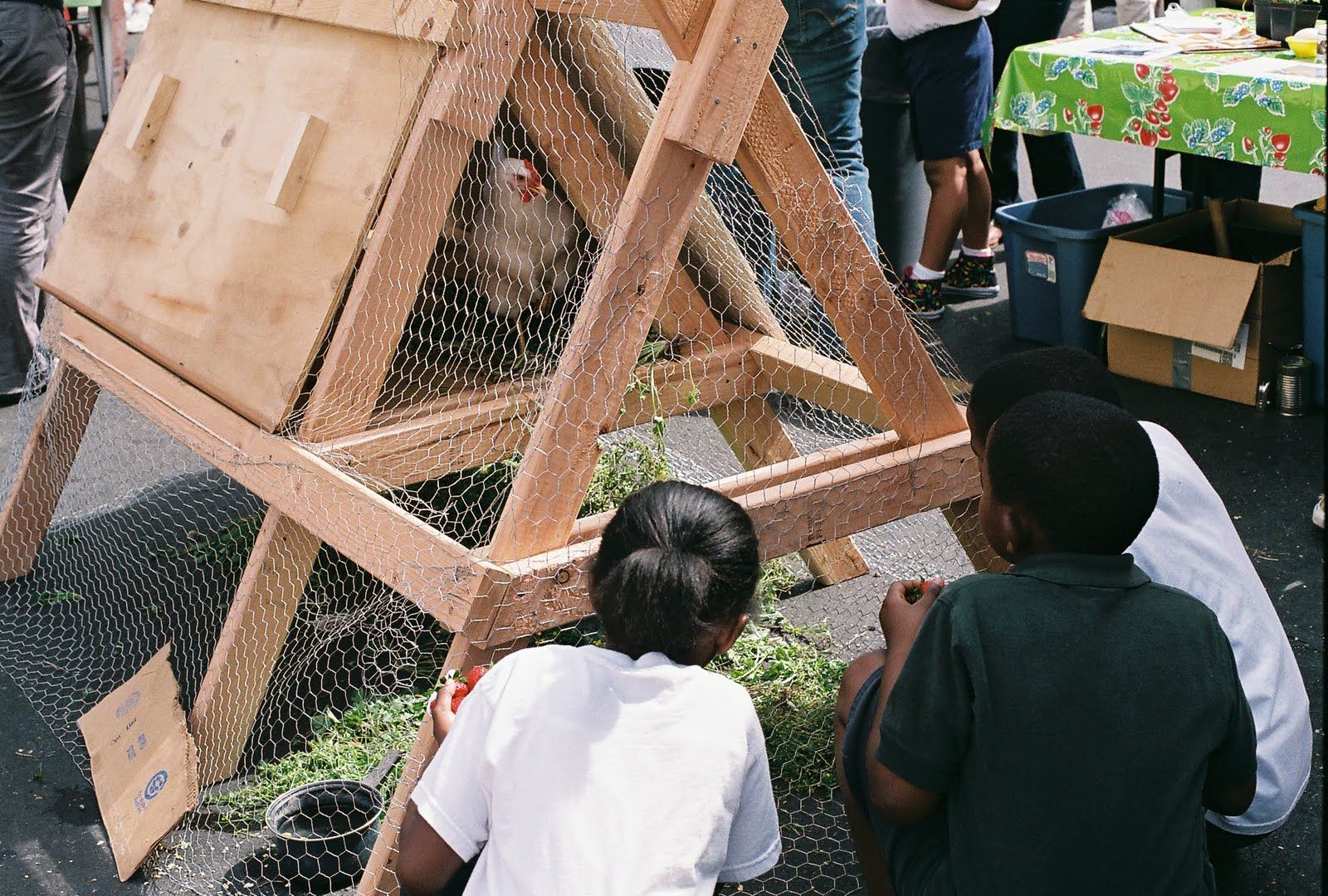 A-Frame Coop Design : 9 Steps (with Pictures) - Instructables