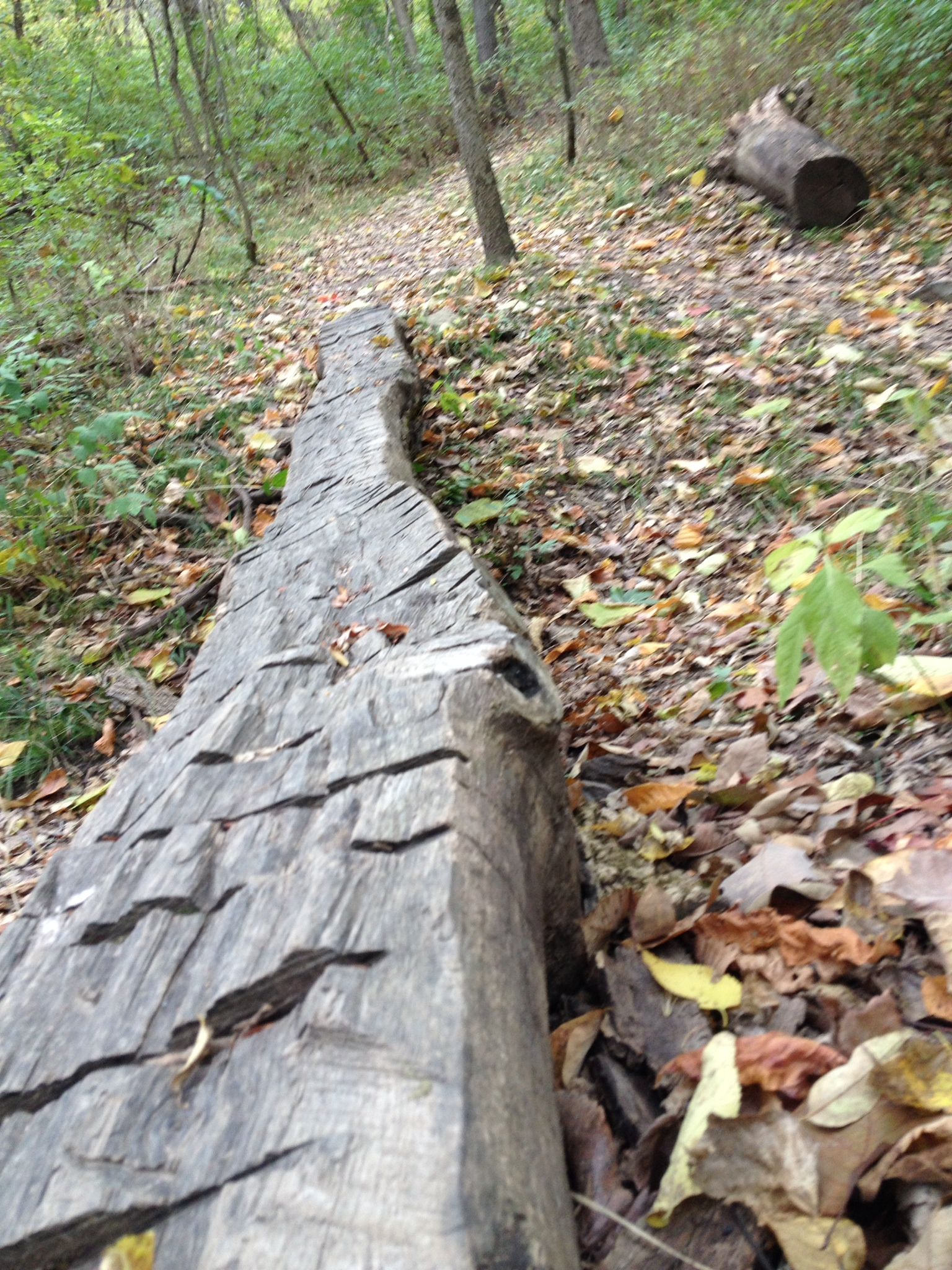 How to Make a Mountain Bike Bridge : 4 Steps - Instructables