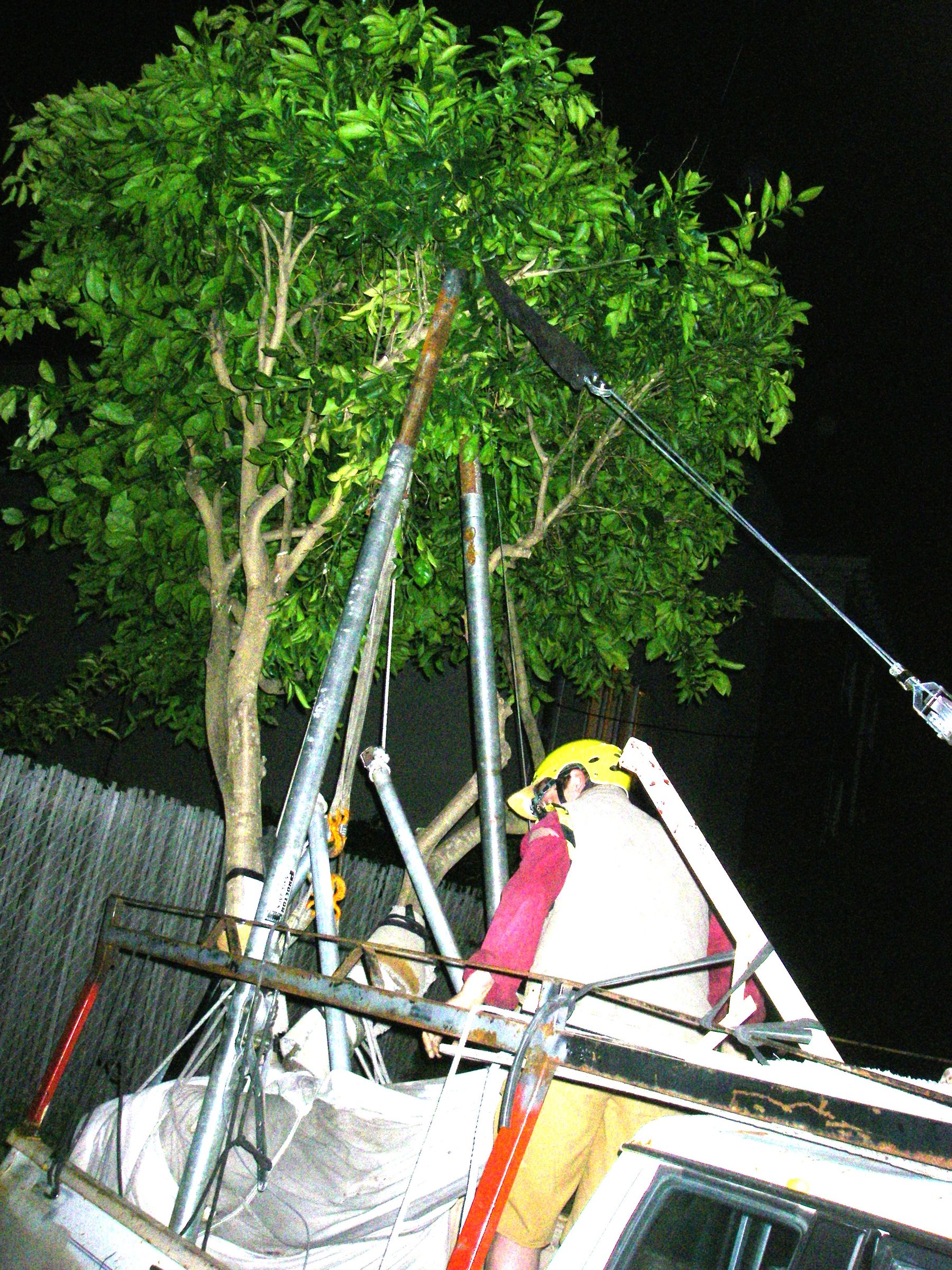 How to Move a Tree, Vehicle and A-frame Method : 17 Steps (with ...