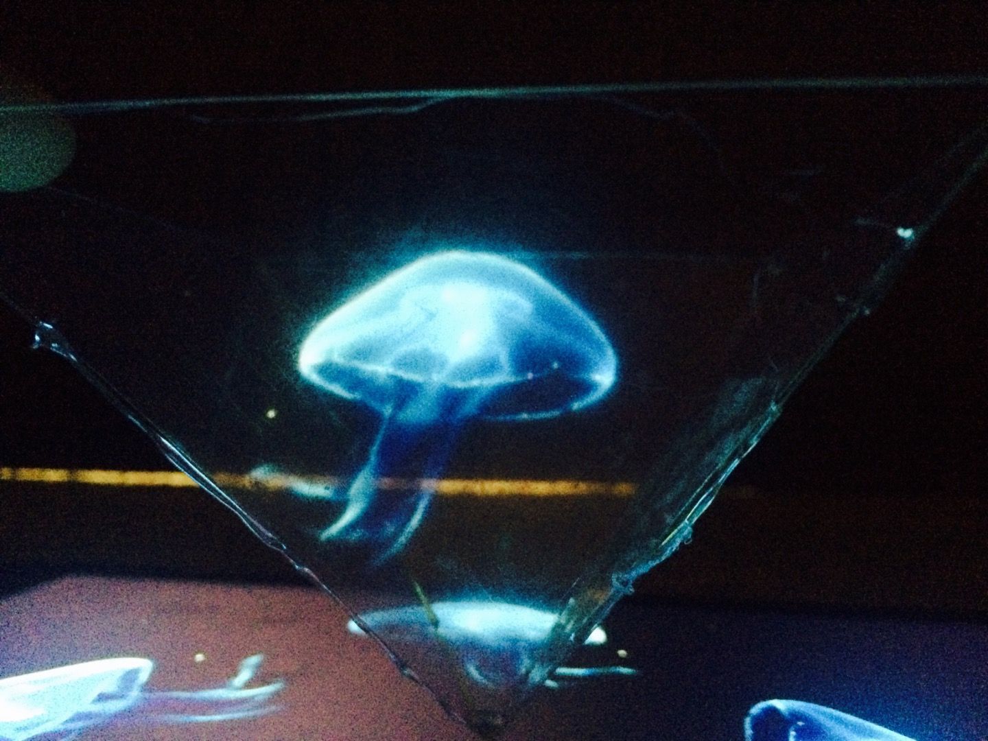 Homemade Hologram Projection : 6 Steps - Instructables