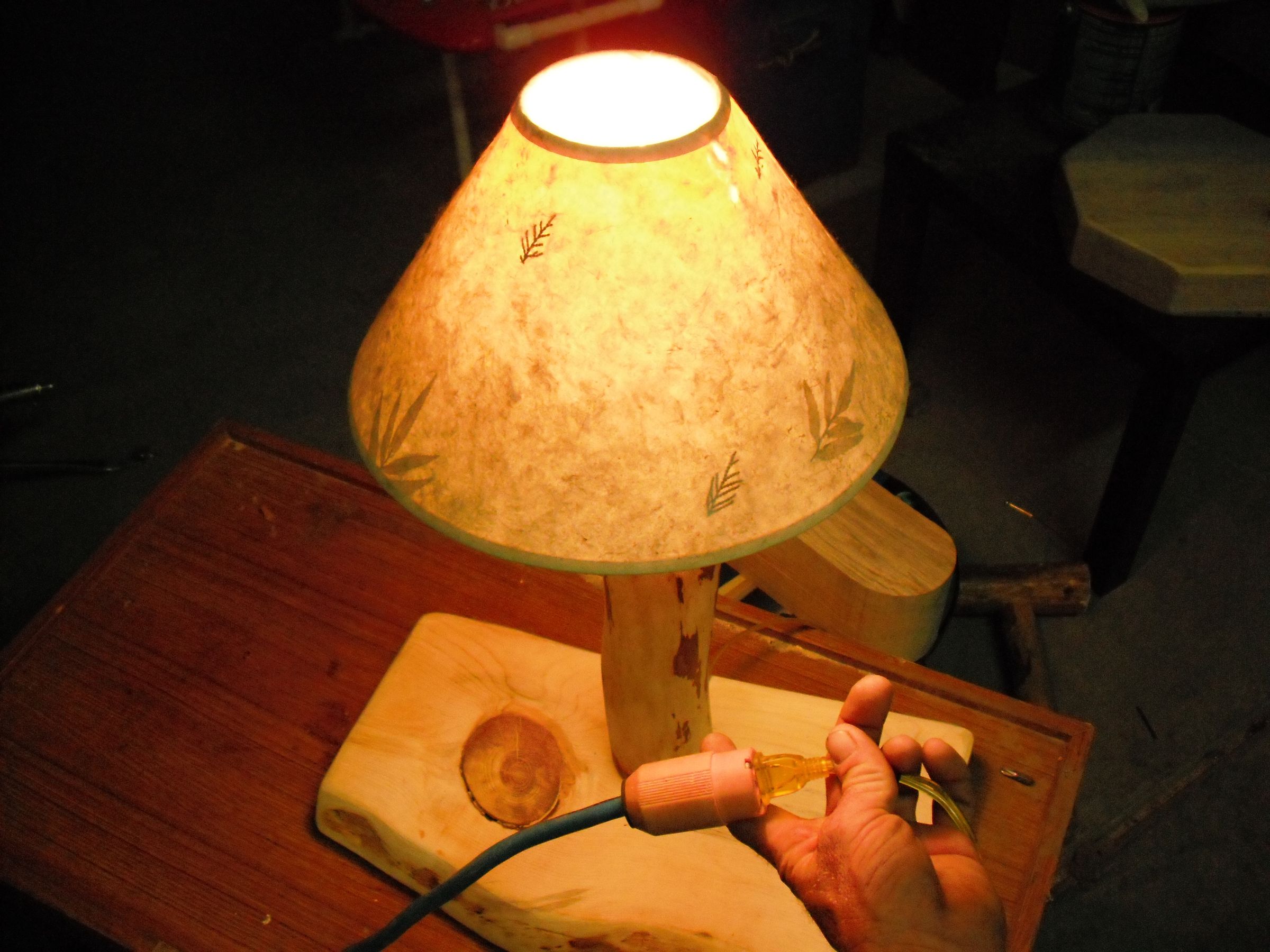 How to Make a Custom Pine Log Lamp on the Cheap! : 6 Steps - Instructables