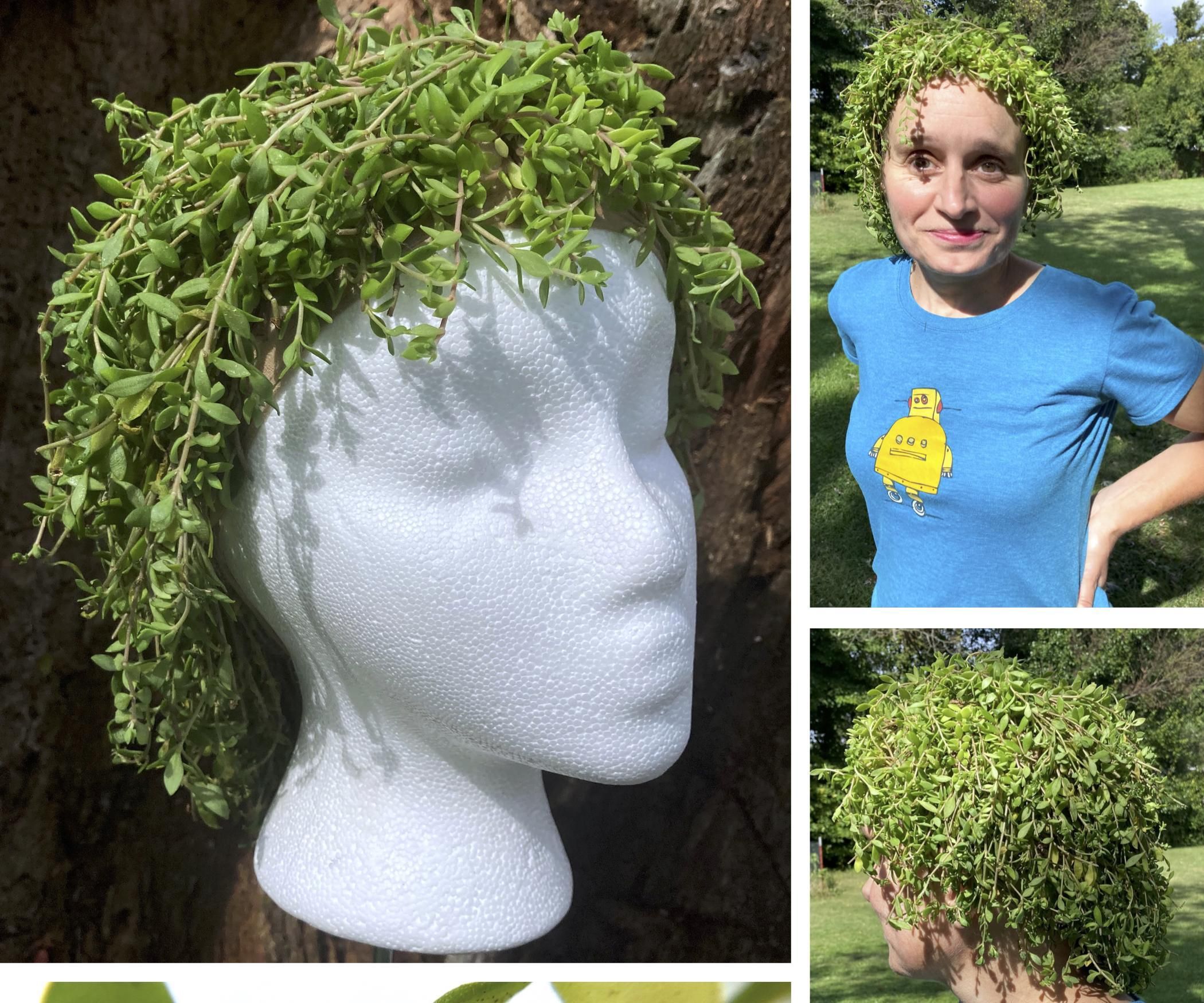 Living, Growing Plant Wig! : 5 Steps (with Pictures) - Instructables
