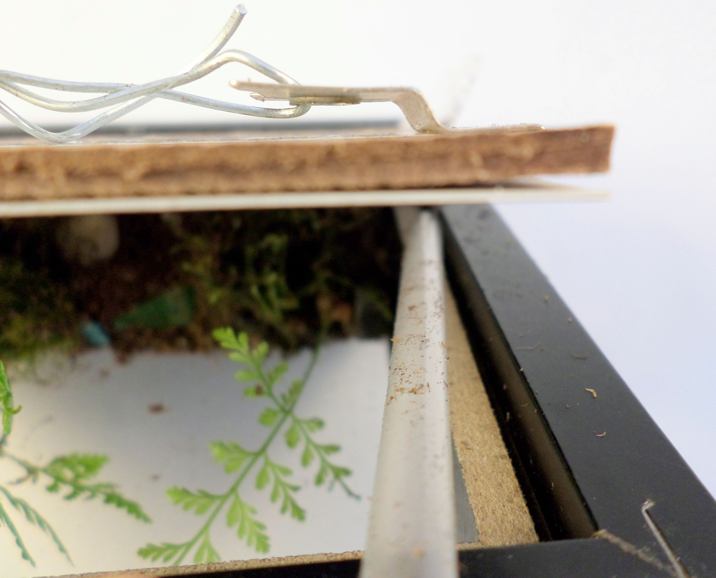 Picture Frame Terrarium : 13 Steps (with Pictures) - Instructables