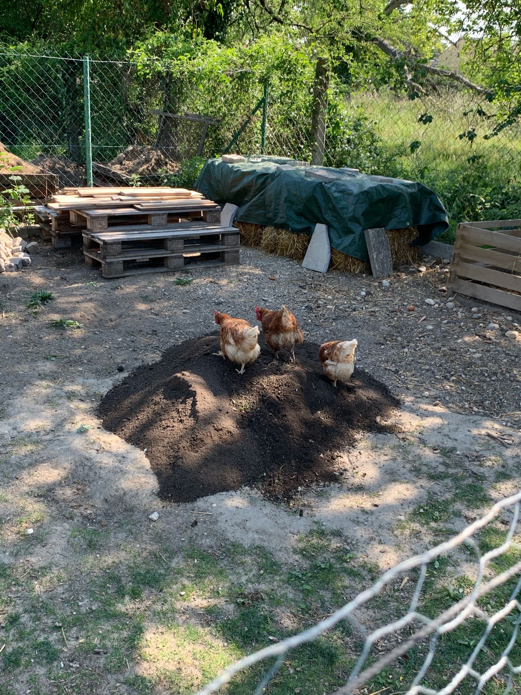 Step-by-step Potato Pyramide : 8 Steps (with Pictures) - Instructables