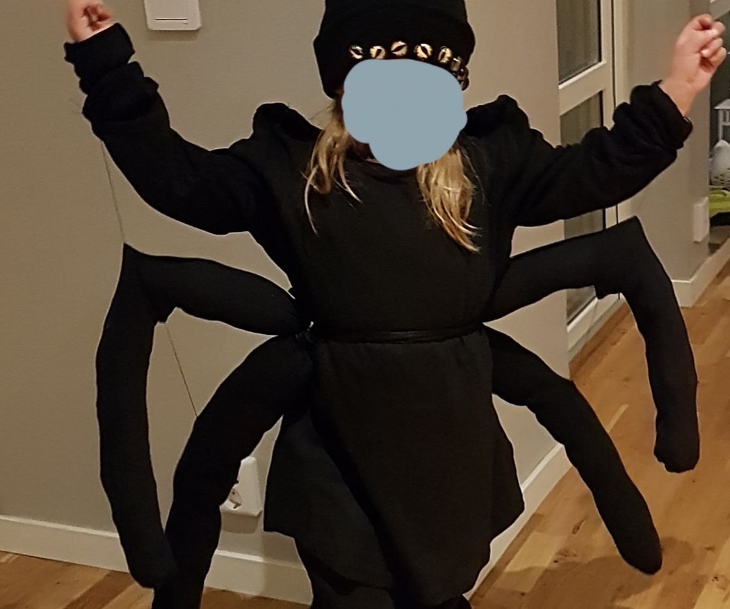 Easy Spider Costume : 6 Steps - Instructables