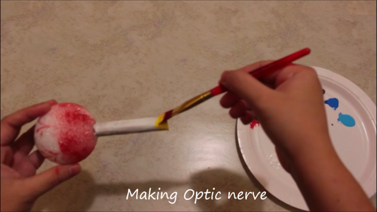 How to Make 3D Human Eye Model: Easy Way - Instructables