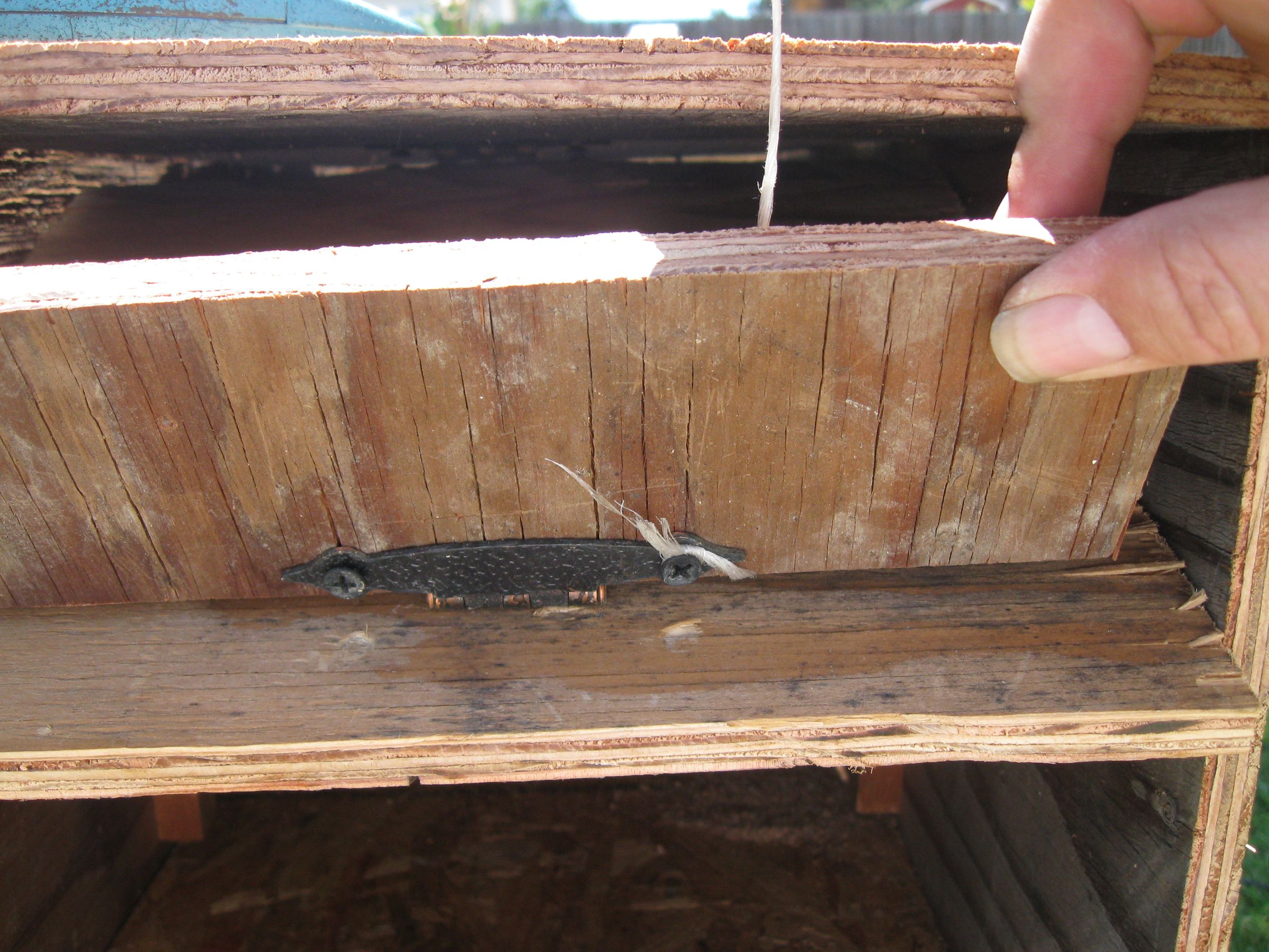 Free "Catch'em Live" Trap : 12 Steps (with Pictures) - Instructables