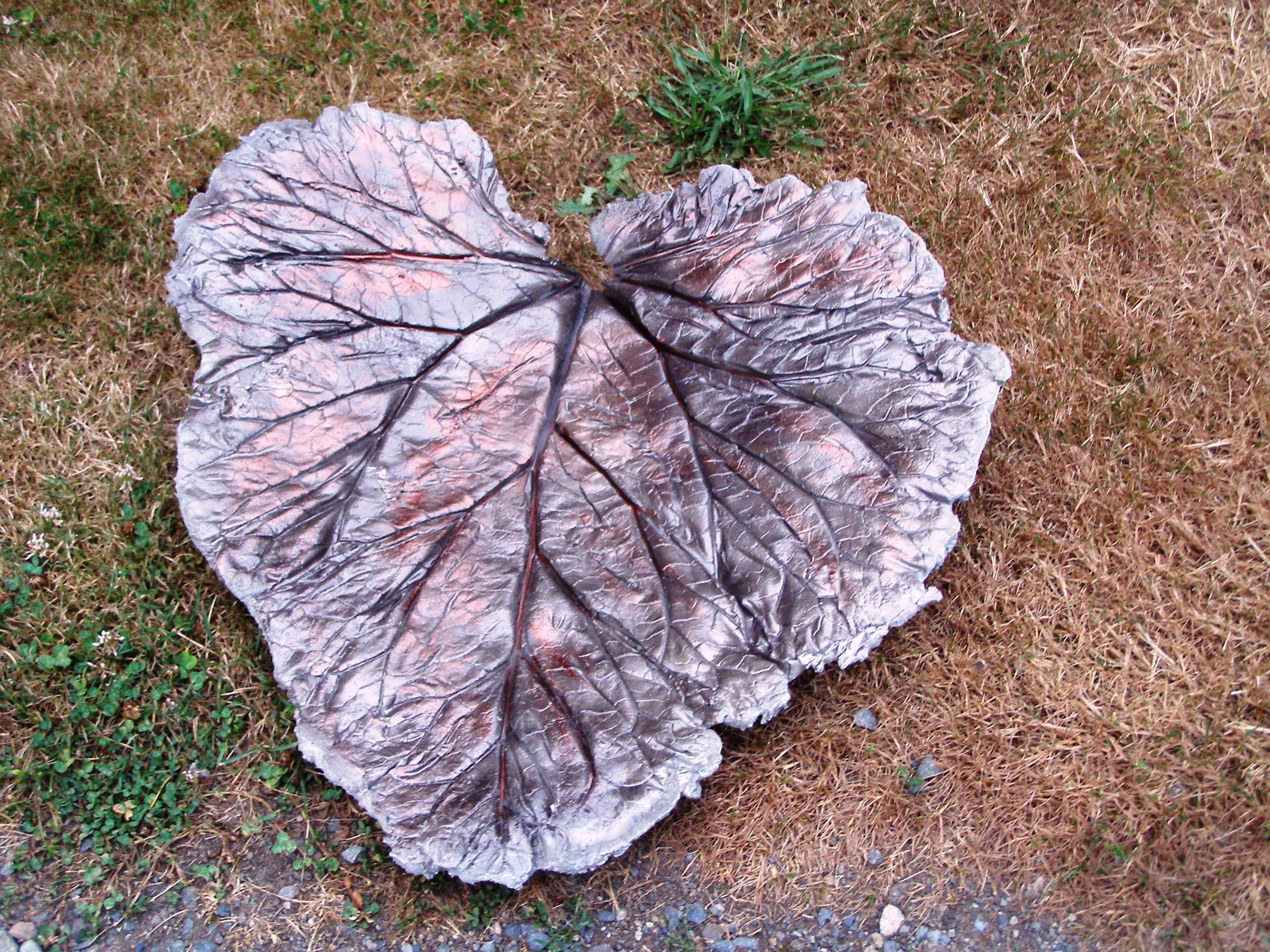 Concrete Leaves for Gardens or Fountains : 7 Steps (with Pictures ...