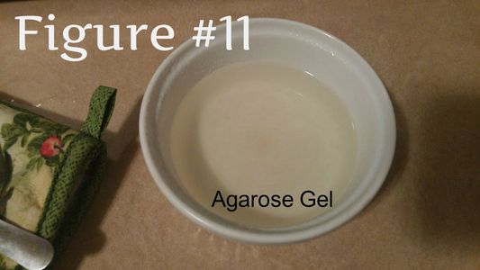 Building and Running a Homemade Agarose Gel Electrophoresis : 19 Steps ...