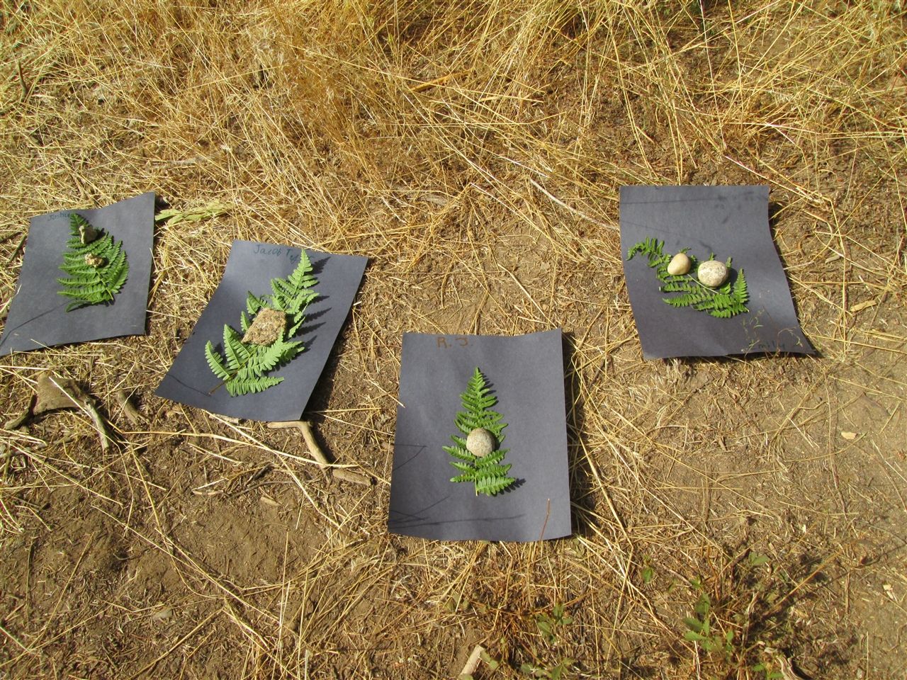 DIY Construction Paper Solar Prints : 6 Steps (with Pictures ...