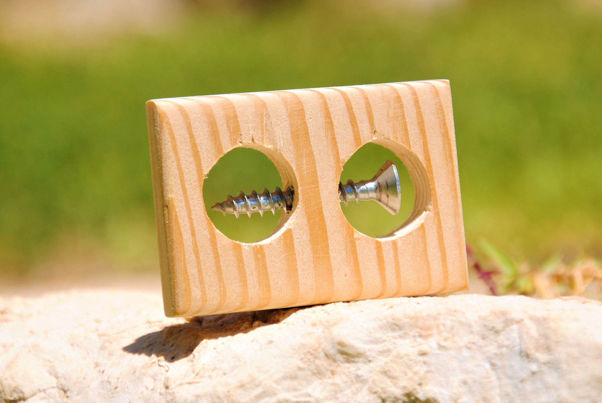 Impossible Screw in a Block of Wood : 8 Steps (with Pictures ...