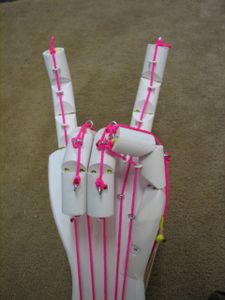 Science Fair - Articulated Hand