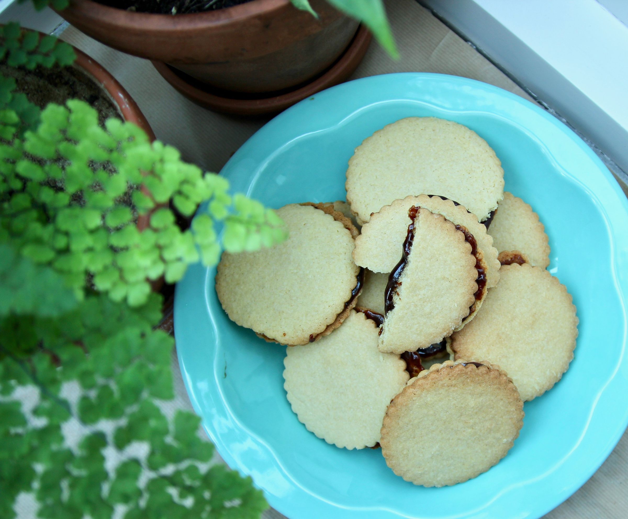The Best Dutch 'Stroopkoeken' Recipe : 25 Steps (with Pictures ...