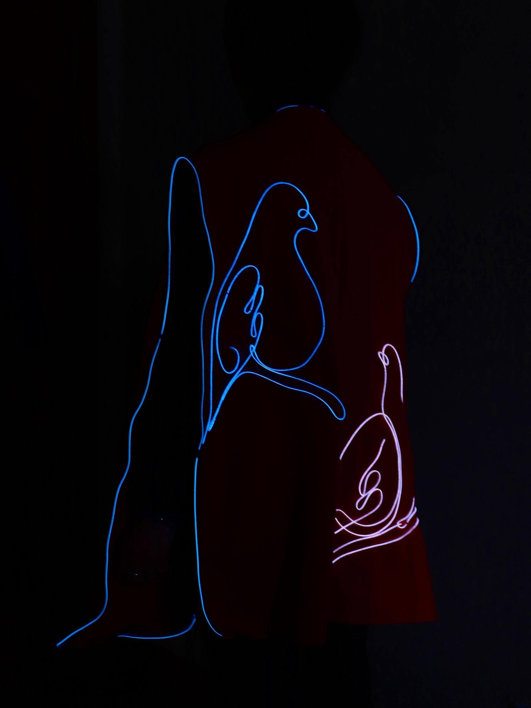 Studio Project 2: Enhanced Clothing With Glowing EL Wire : 7 Steps ...