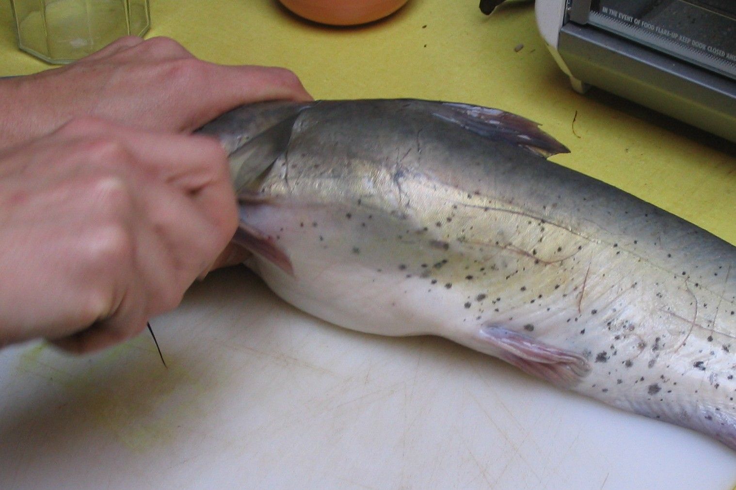 Skinning and Filleting Catfish : 13 Steps (with Pictures) - Instructables