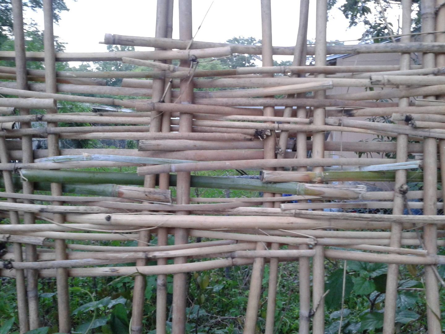 Weave a Bamboo Privacy Fence : 7 Steps (with Pictures) - Instructables