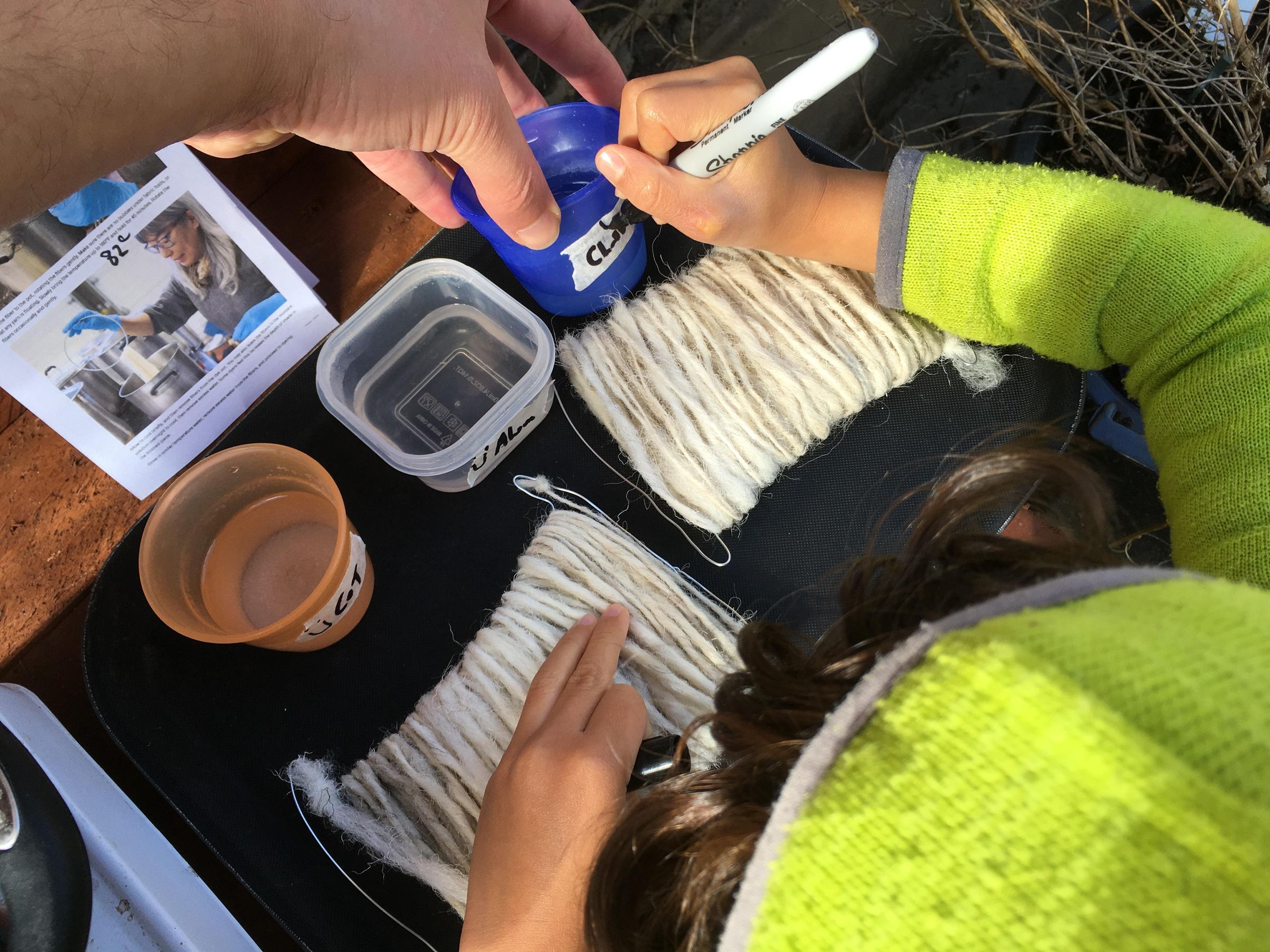 DIY Wool: Forage, Spin and Dye Your Own Yarns : 49 Steps (with Pictures ...
