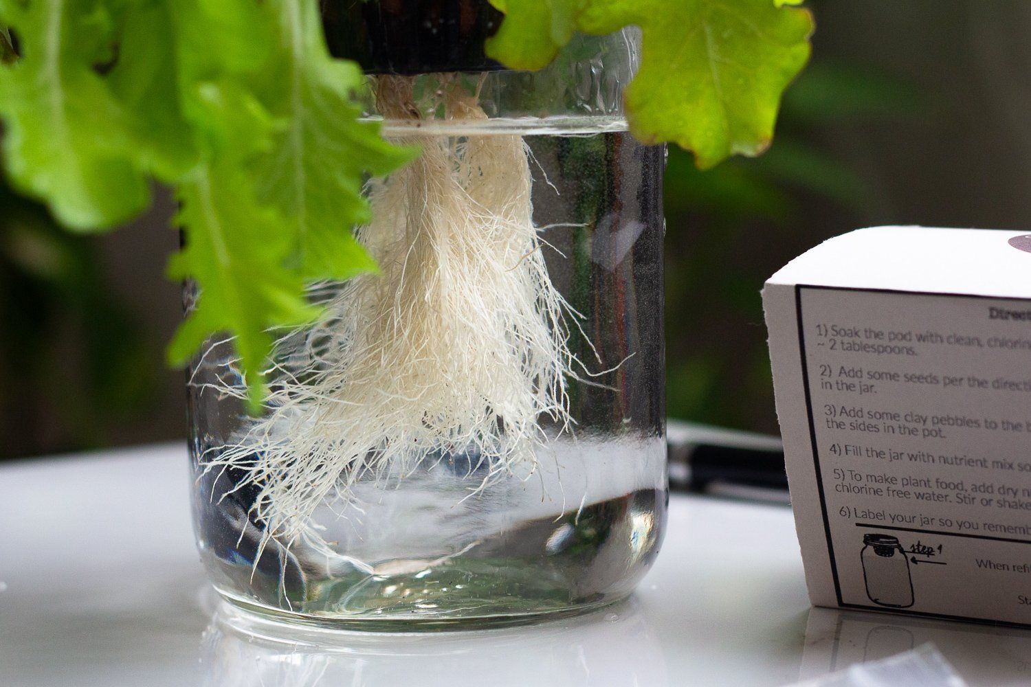DIY Hydroponics - With Raspberry Pi : 5 Steps - Instructables