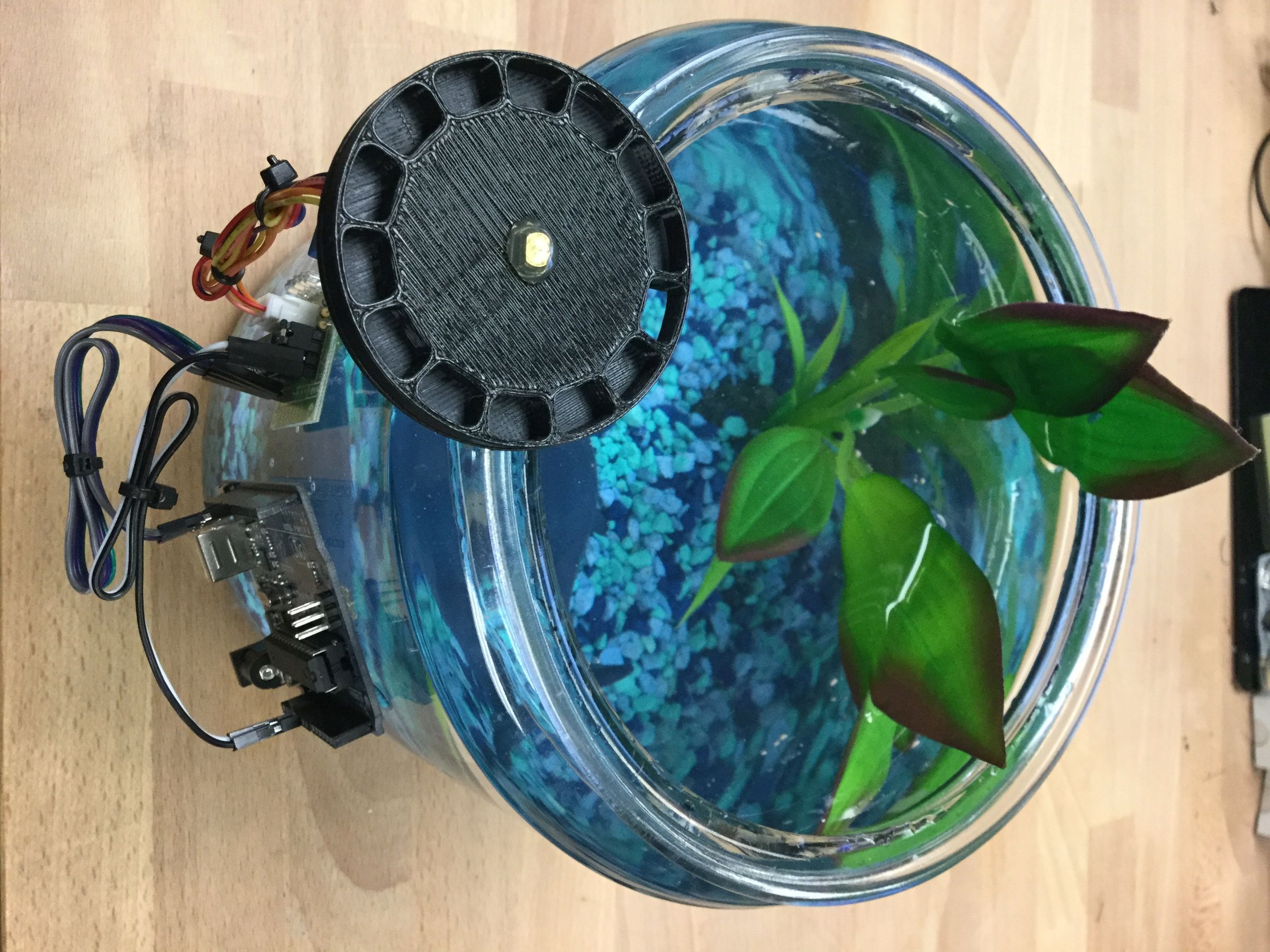 Betta Fish Feeder : 6 Steps (with Pictures) - Instructables