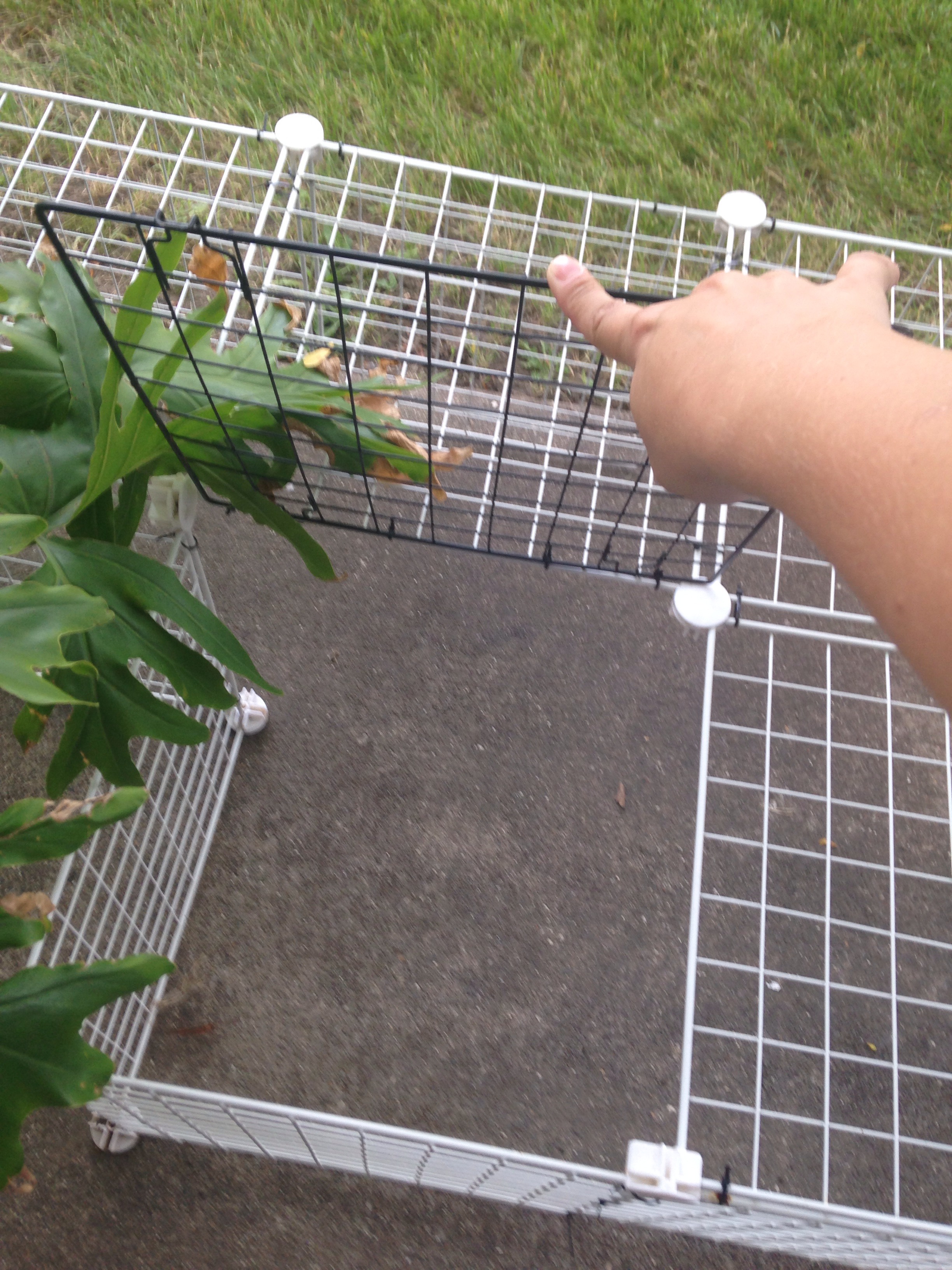 DIY Cat Run : 5 Steps - Instructables