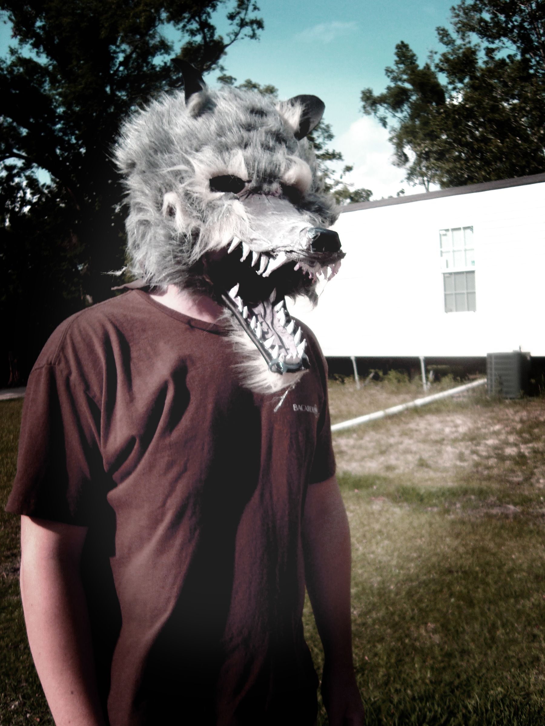 How to Make a Werewolf Mask : 13 Steps (with Pictures) - Instructables