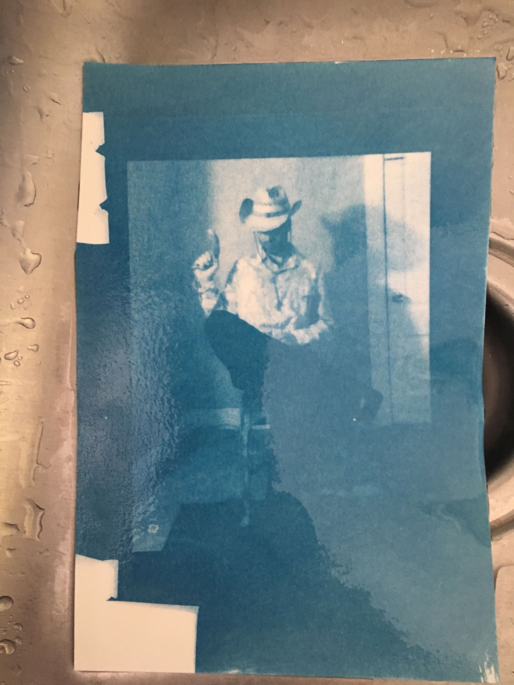 Alternative Photography: Anthotype & Cyanotype : 5 Steps (with Pictures ...