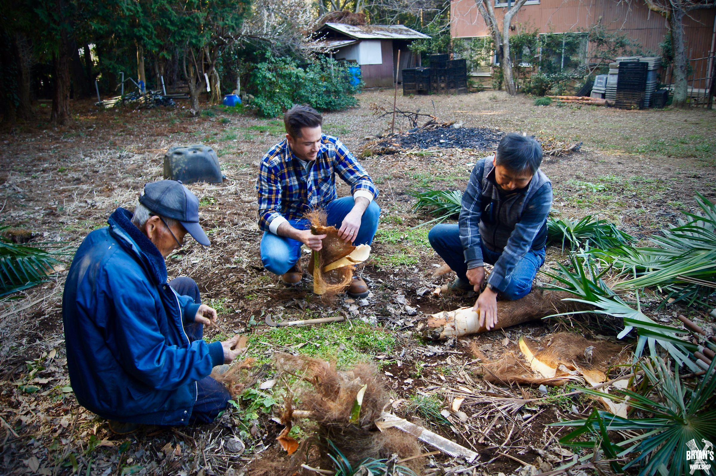 How to Make Rope Using Windmill Palm Tree Fiber! : 6 Steps (with ...