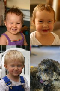Make a Custom Lift-the-Flap Book for a Toddler : 5 Steps (with Pictures ...
