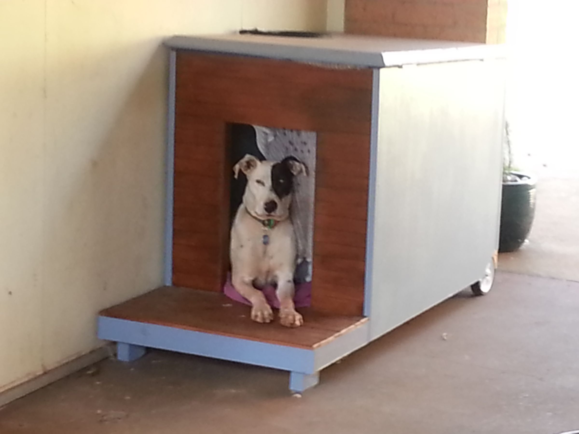 Mobile Dog House : 6 Steps (with Pictures) - Instructables