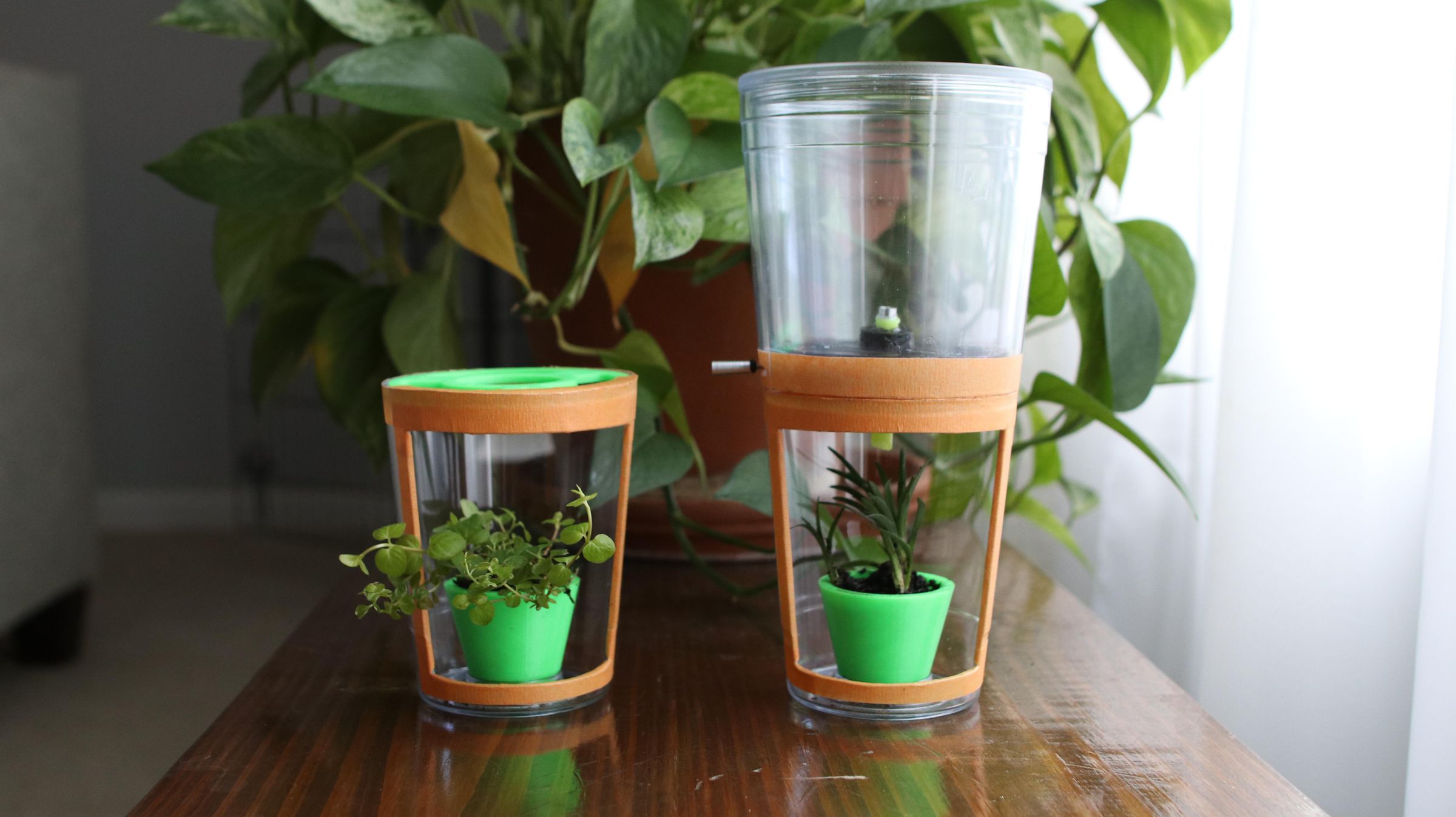 The Plant Watering Cup : 9 Steps (with Pictures) - Instructables