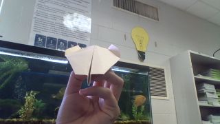 The Best Paper Airplane : 13 Steps (with Pictures) - Instructables