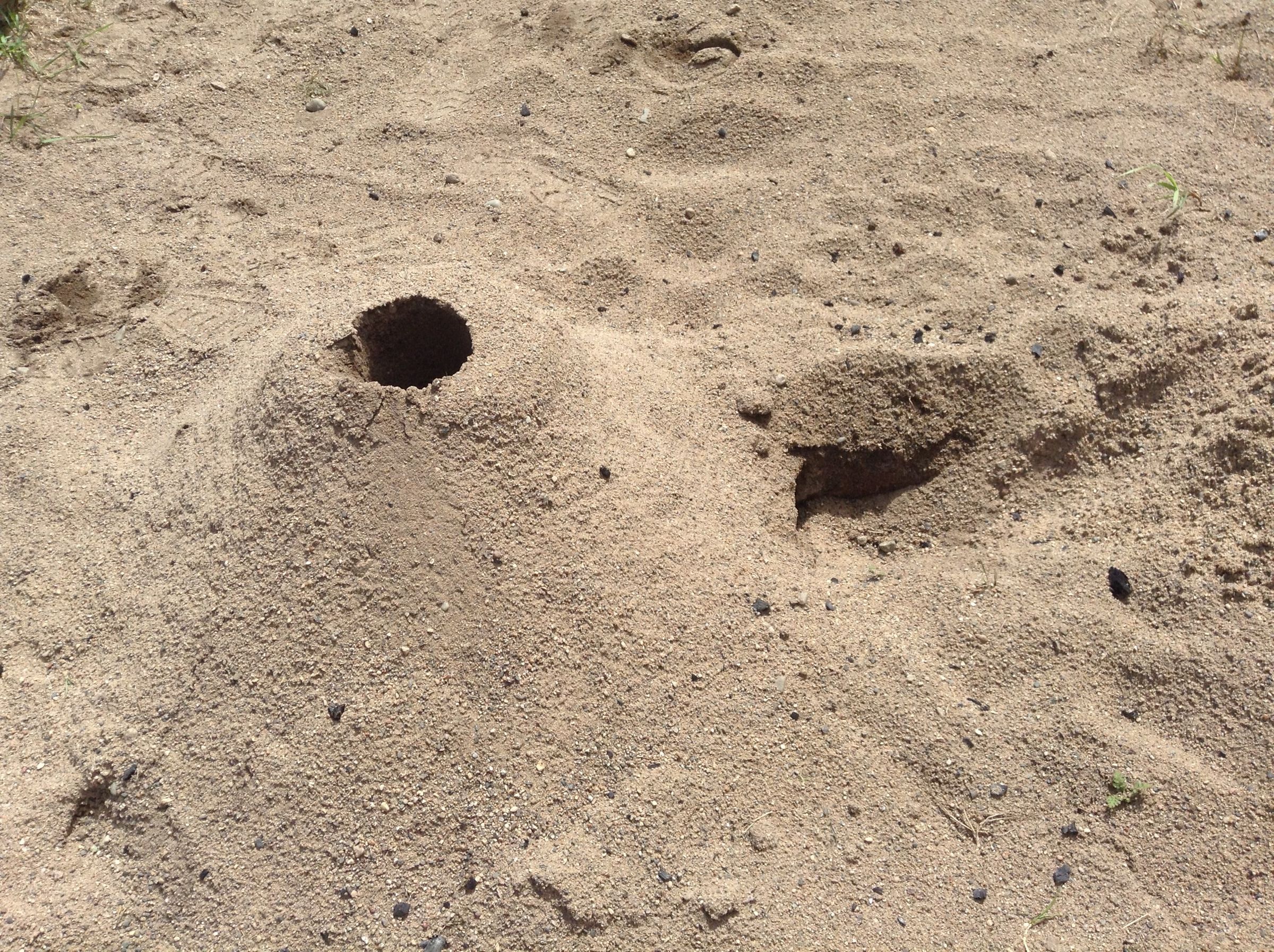 Sand Rocket Stove : 8 Steps - Instructables