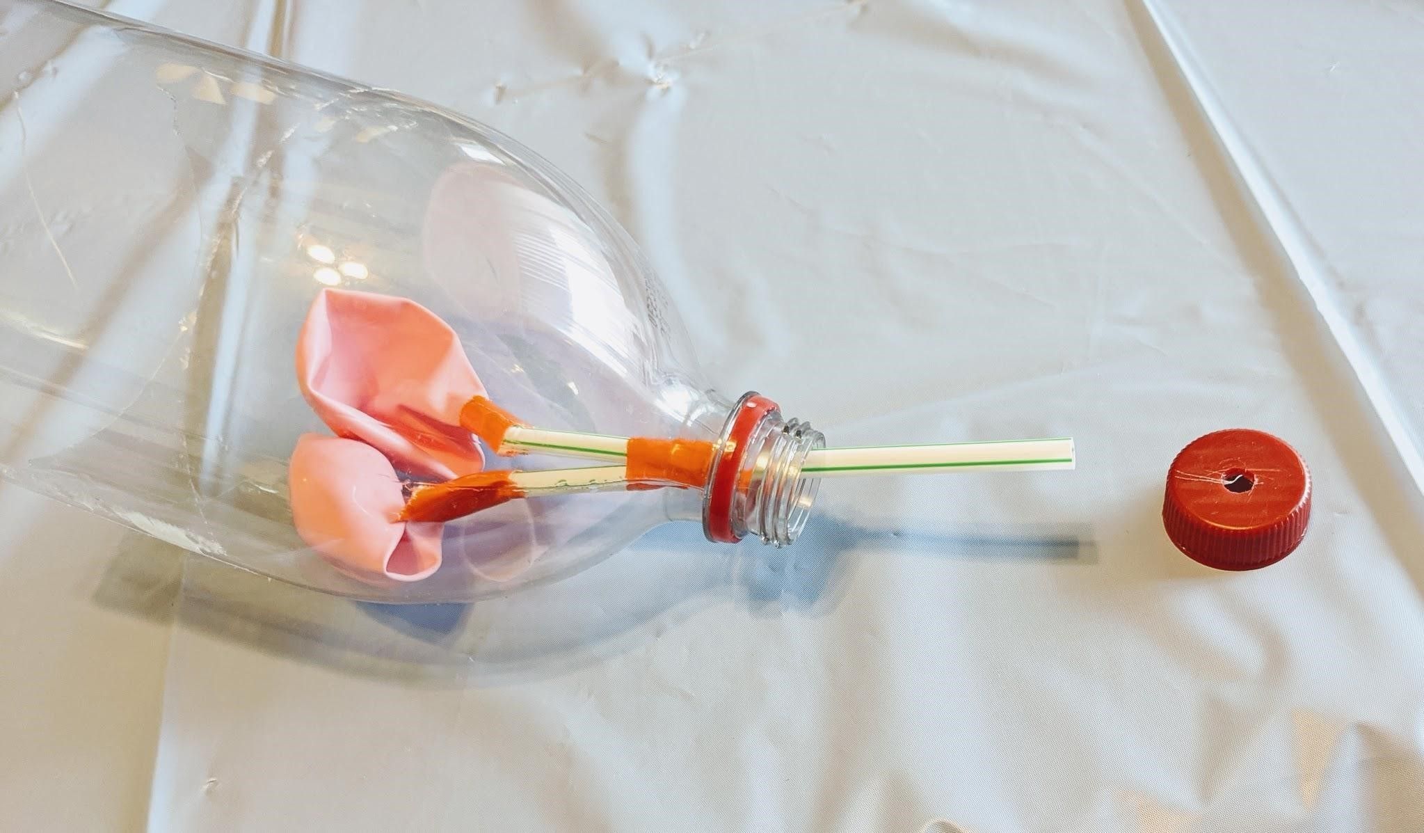 Make a Human Lung Model : 9 Steps (with Pictures) - Instructables