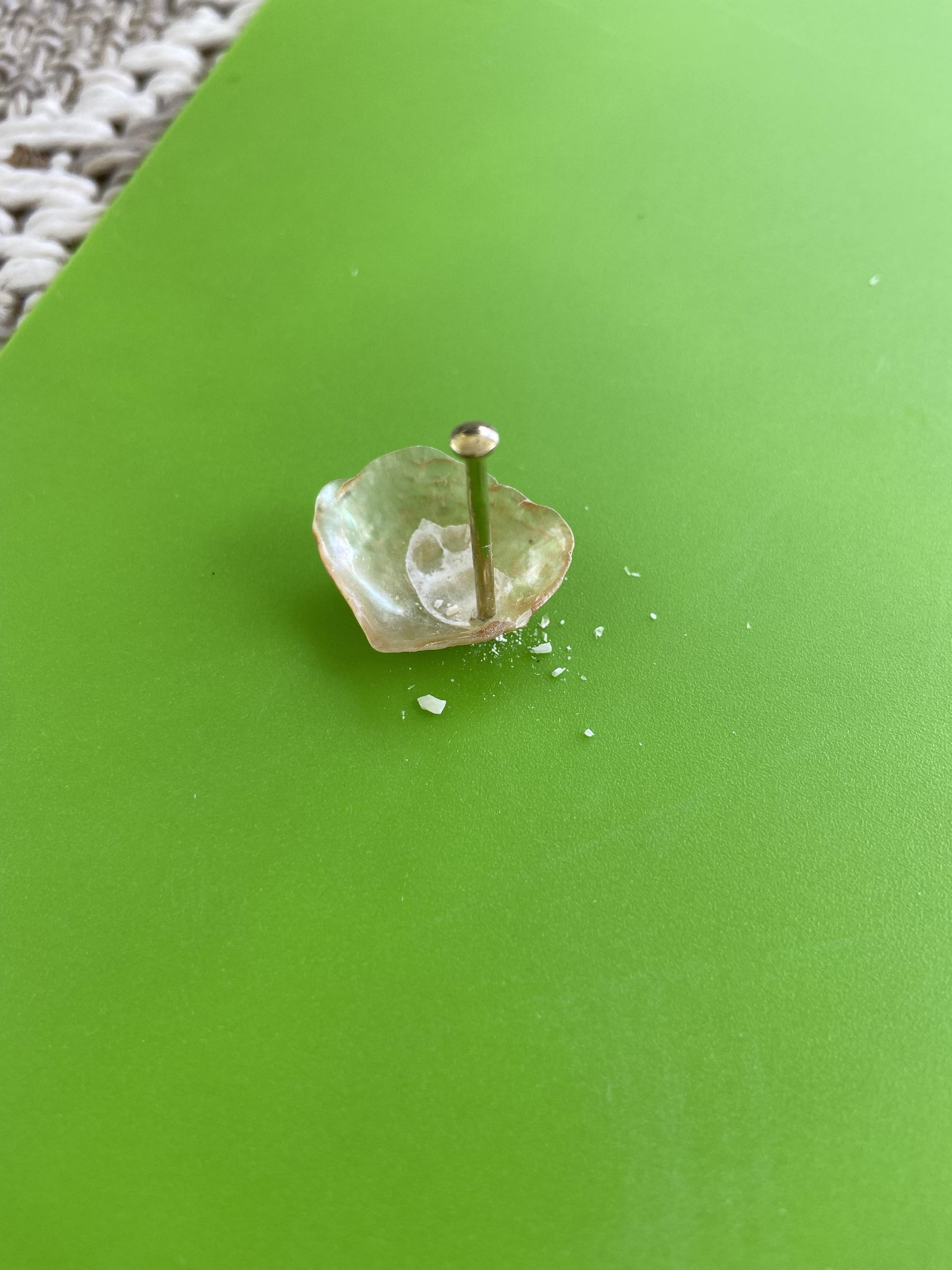 Seashell Wall Hanging : 6 Steps (with Pictures) - Instructables