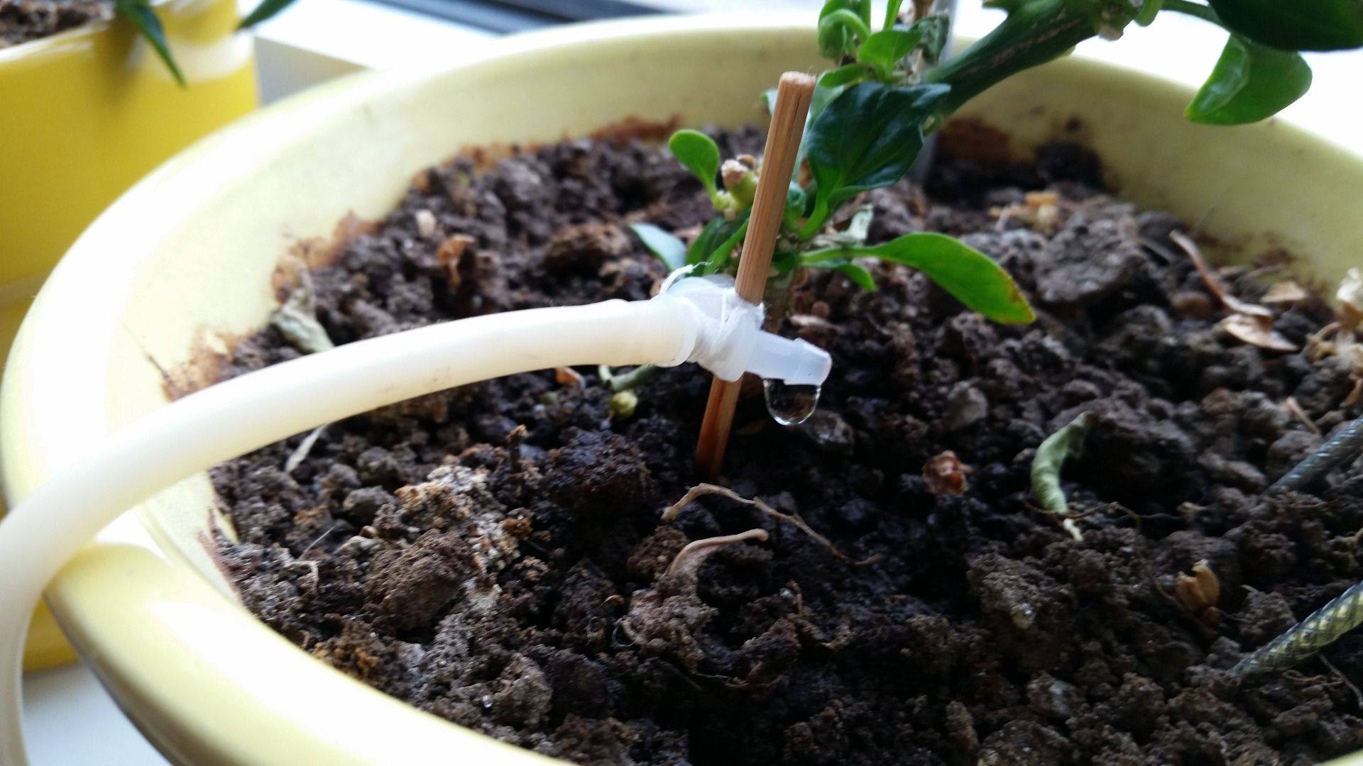 APIS - Automated Plant Irrigation System : 12 Steps (with Pictures ...