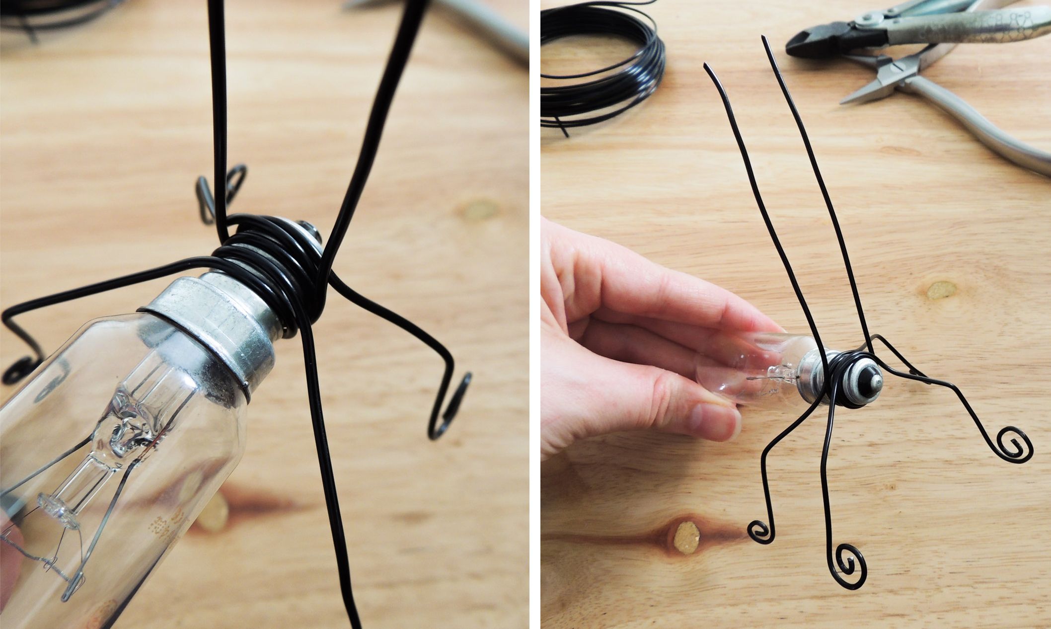 DIY Light Bulb Bugs : 6 Steps (with Pictures) - Instructables
