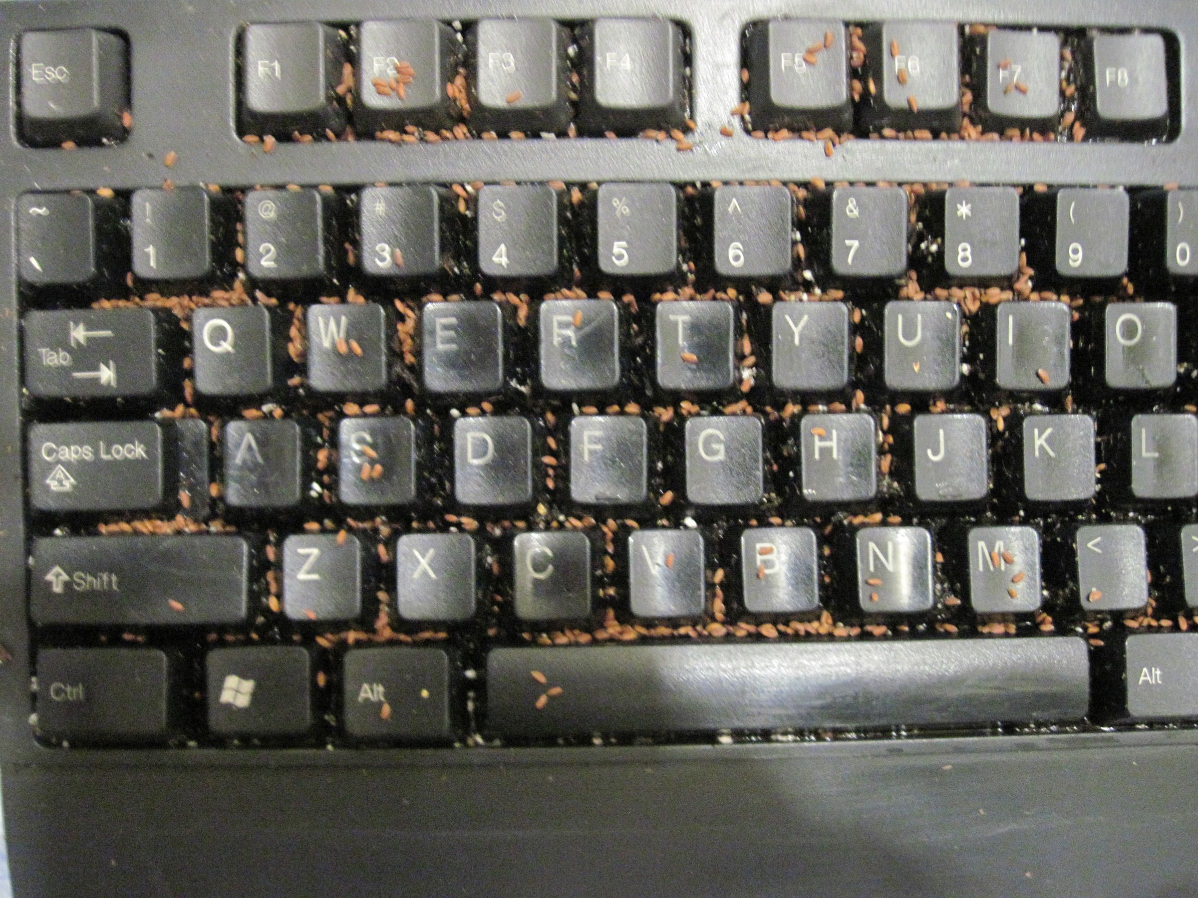 Grow a Keyboard : 10 Steps (with Pictures) - Instructables