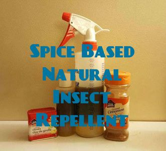 Spice Based Natural Insect Repellent : 5 Steps (with Pictures ...