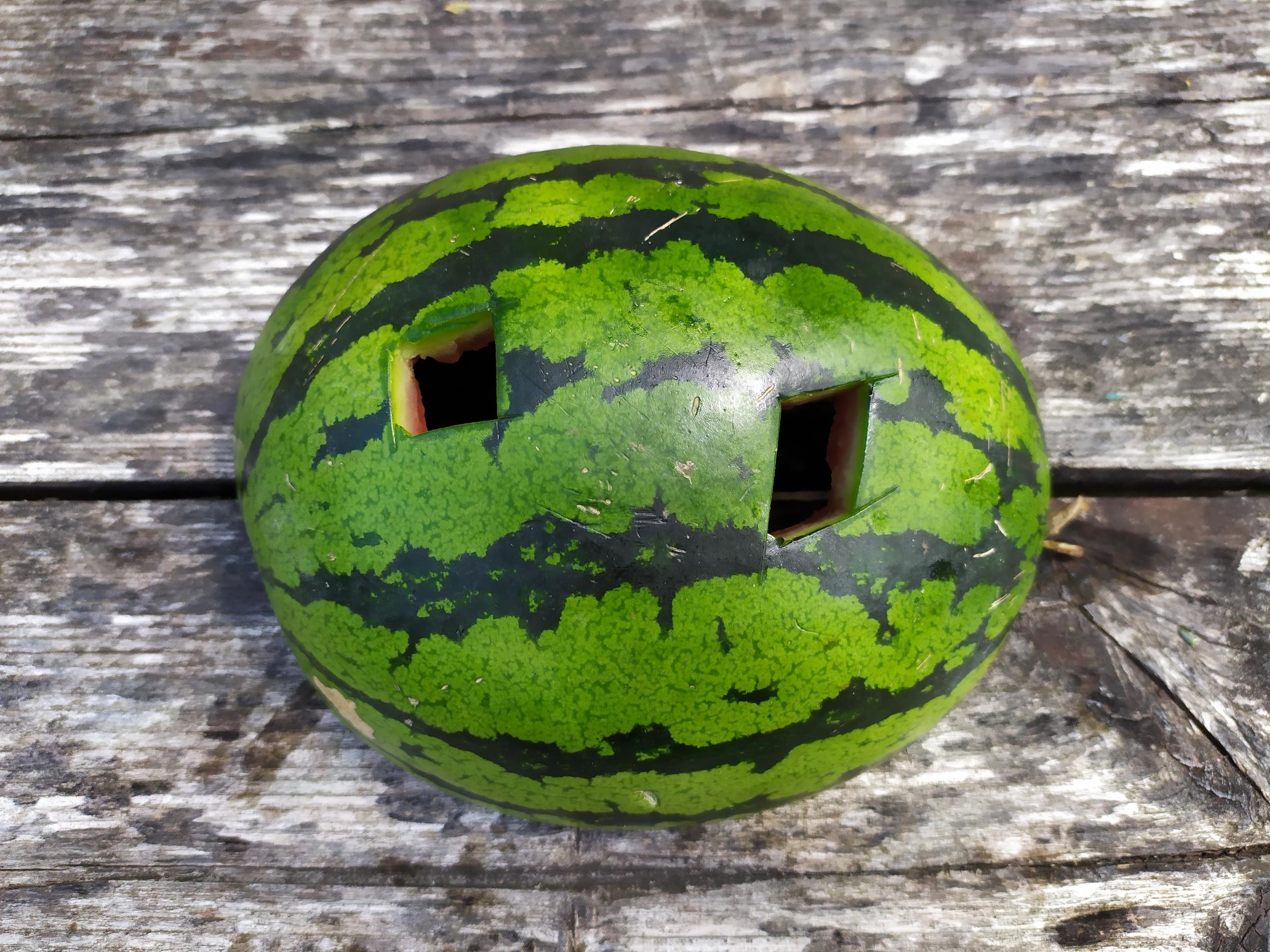 Watermelon BBQ : 5 Steps (with Pictures) - Instructables