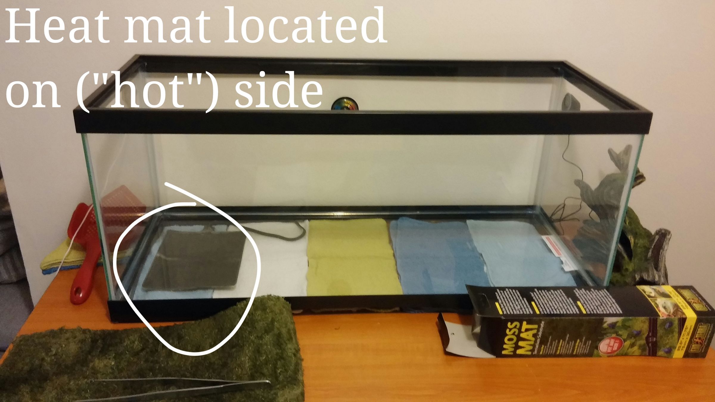 How to Set Up a Reptile Terrarium : 8 Steps (with Pictures) - Instructables