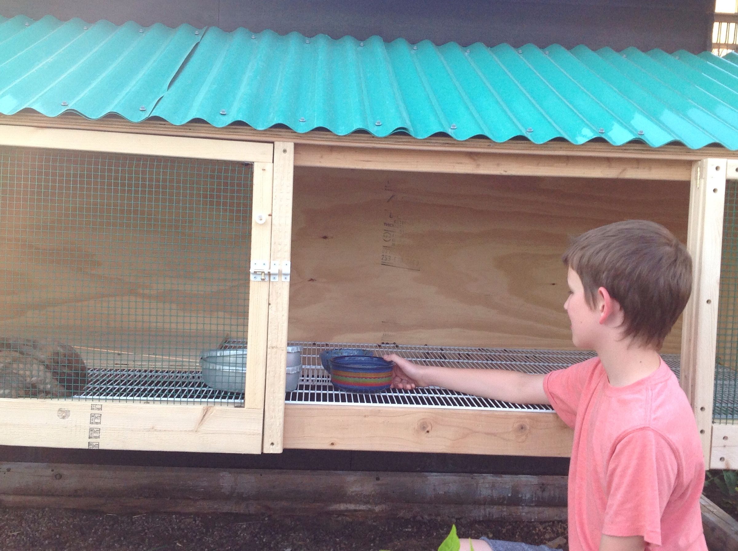 A Kid-Friendly Rabbit Hotel : 12 Steps (with Pictures) - Instructables