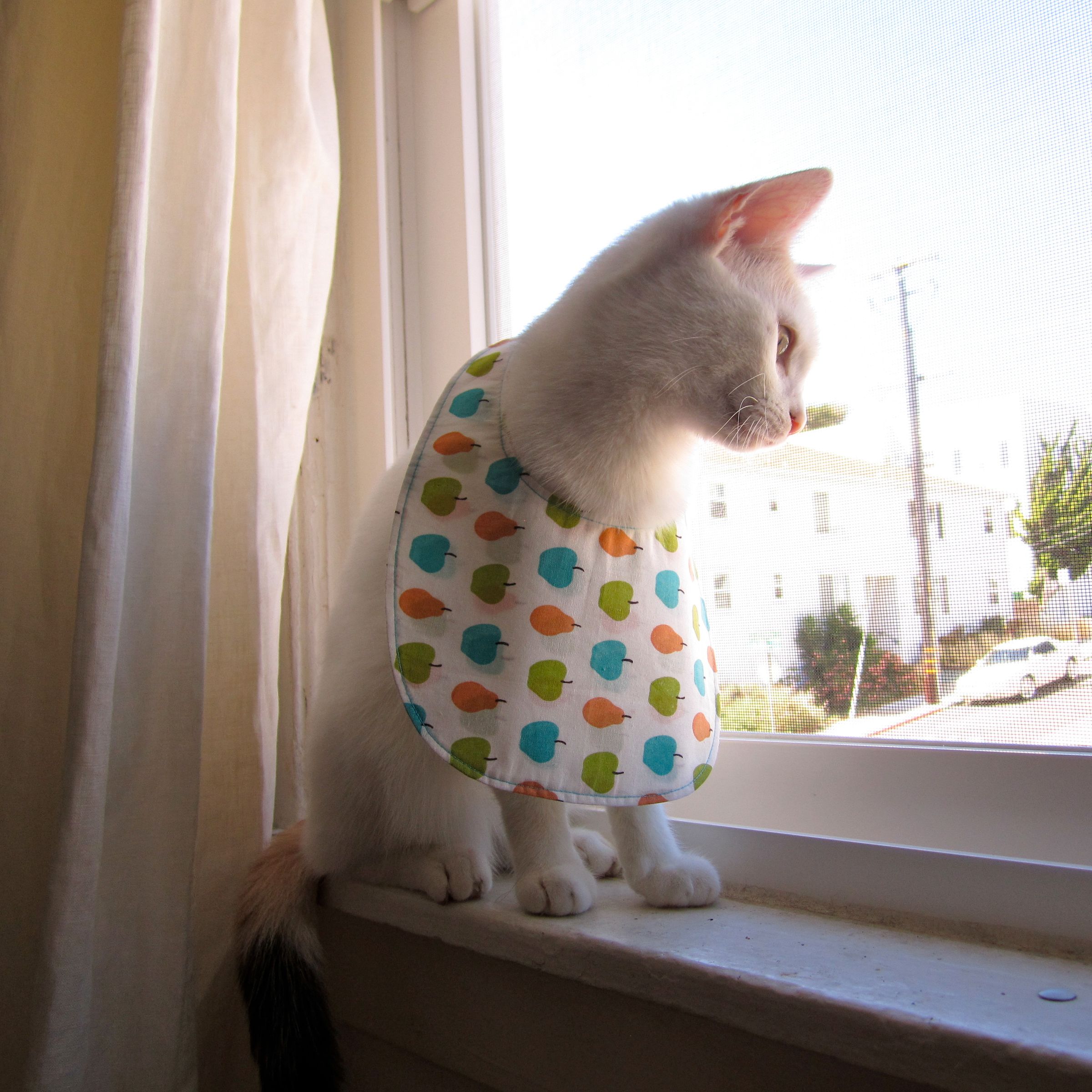 How to Sew a Baby Bib + Pattern : 9 Steps (with Pictures) - Instructables