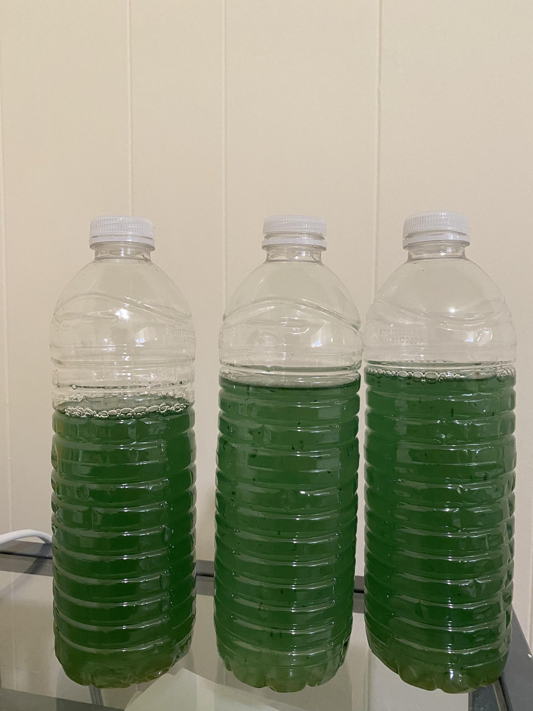 DIY Proof-of-concept Spirulina Photobioreactor to Reduce CO2 Emissions ...