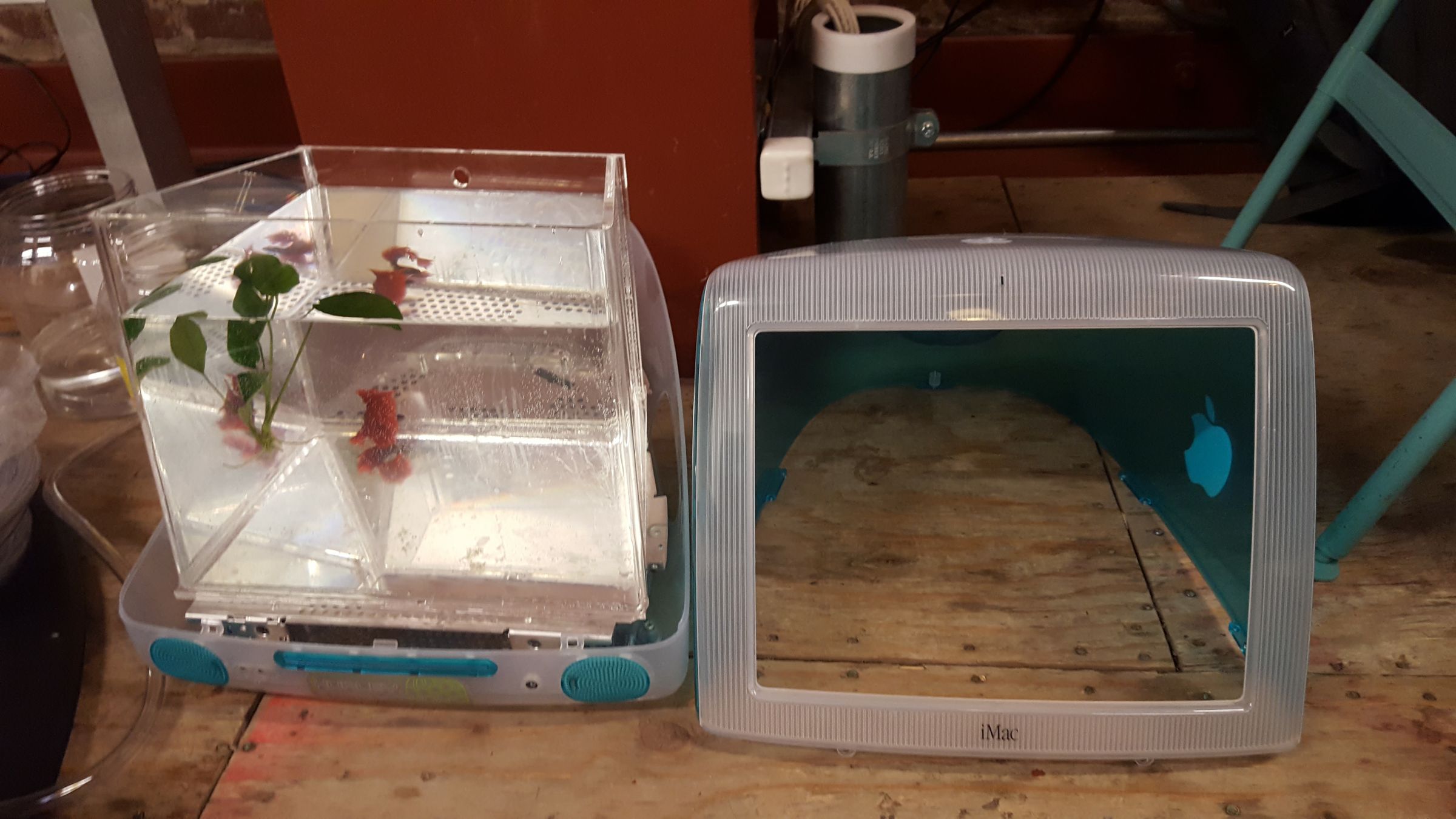 DIY IMac Fish Tank : 10 Steps (with Pictures) - Instructables