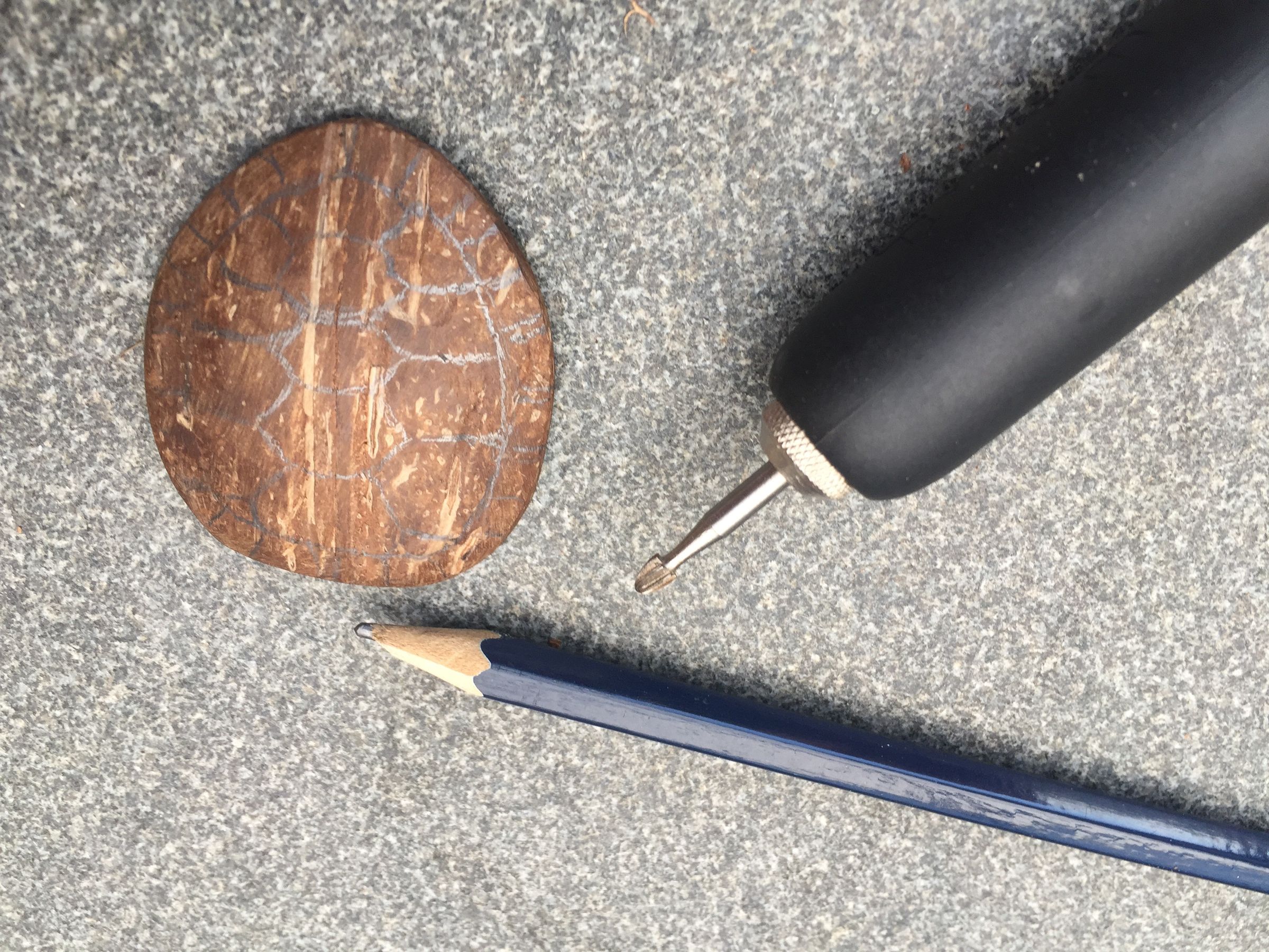 Turtle Shell From Coconut : 6 Steps (with Pictures) - Instructables